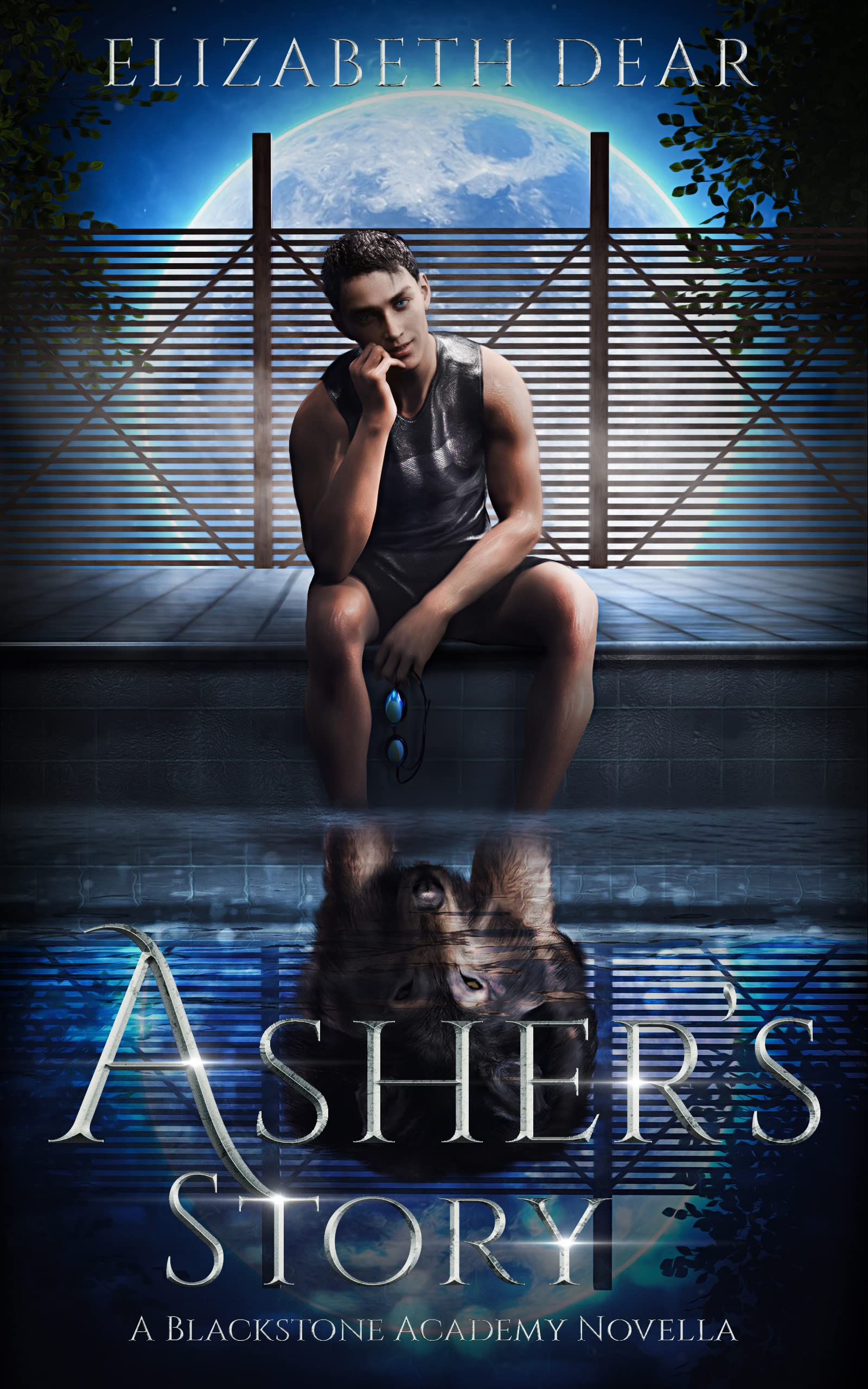 Asher's Story (Blackstone Academy) by Elizabeth Dear | Goodreads