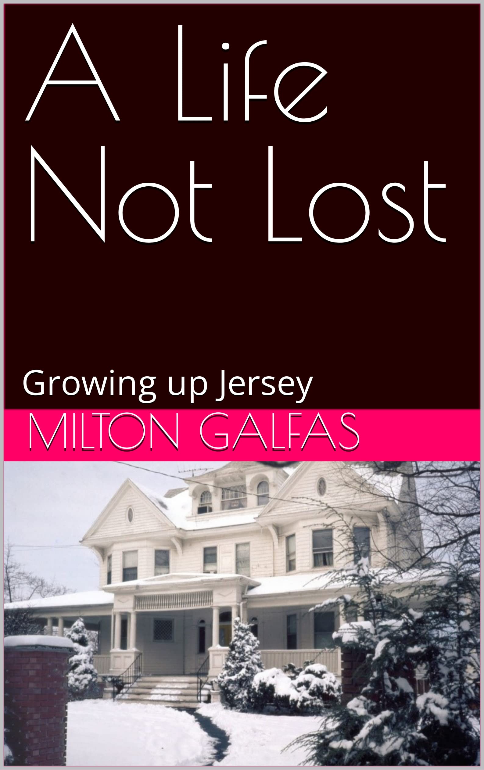 A Life Not Lost: 48 Exciting Stories by Milton Galfas | Goodreads