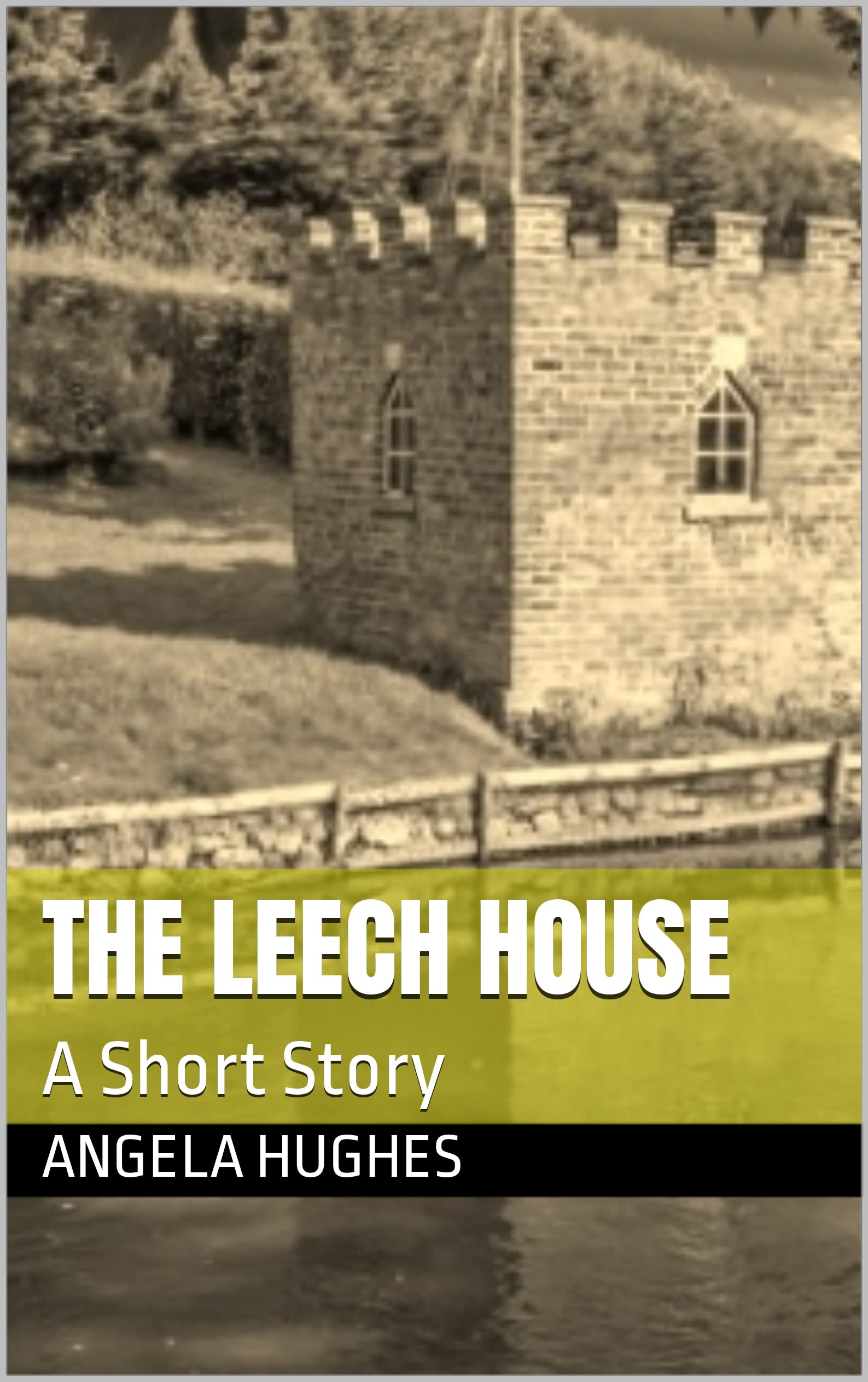 The Leech House by Angela Hughes | Goodreads