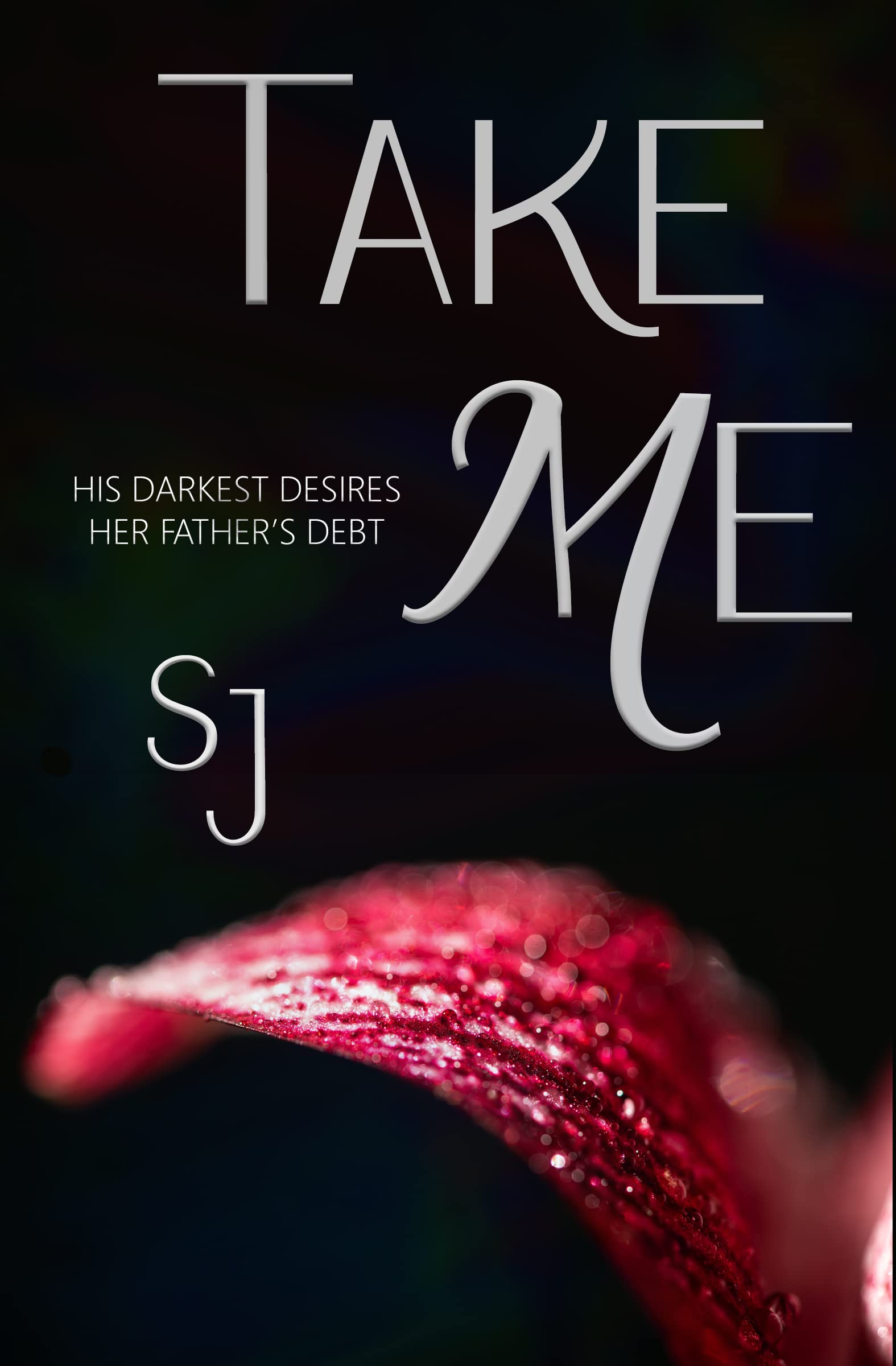 Take Me: A Dark Enemies to Lovers Romance by S.J. | Goodreads