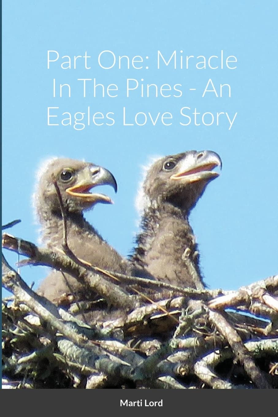 Part One: Miracle In The Pines - An Eagles Love Story by Marti Lord ...