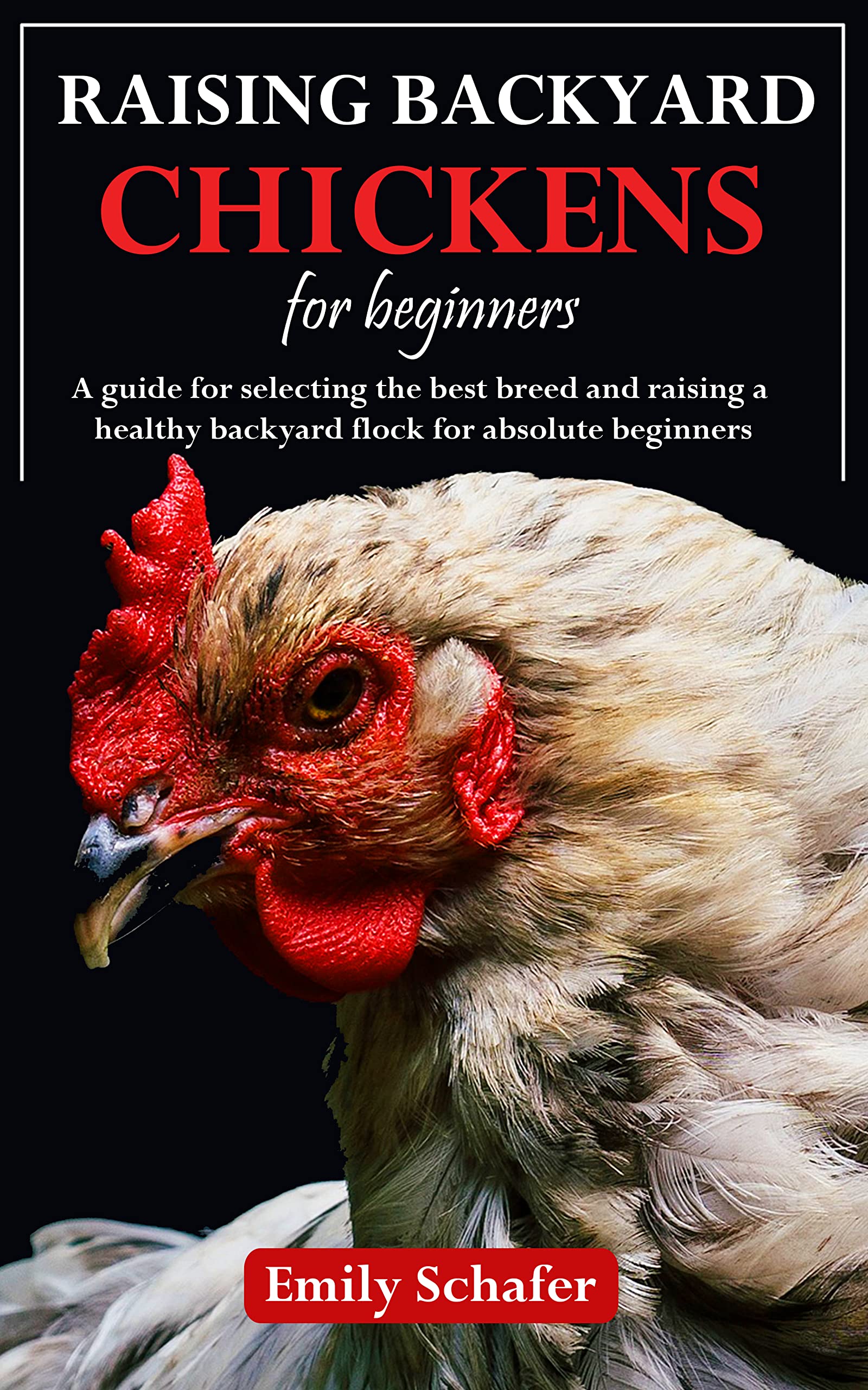 RAISING BACKYARD CHICKENS FOR BEGINNERS: A Guide for Selecting the Best ...