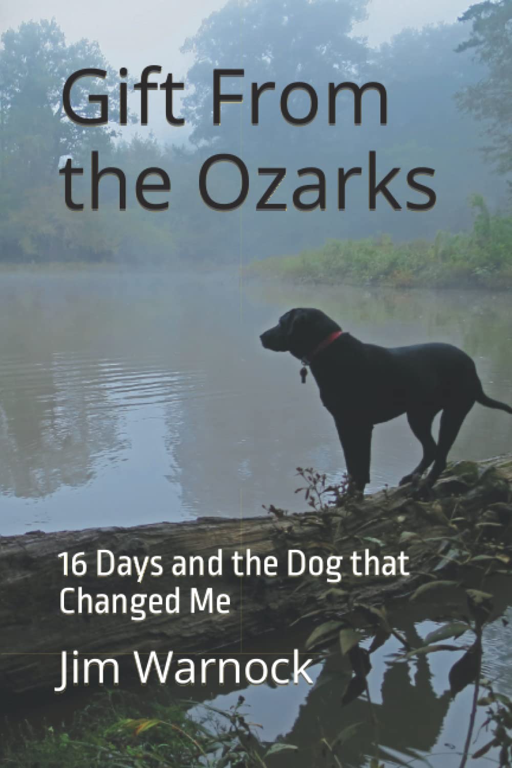 Gift From the Ozarks: 16 Days and the Dog that Changed Me by Jim ...