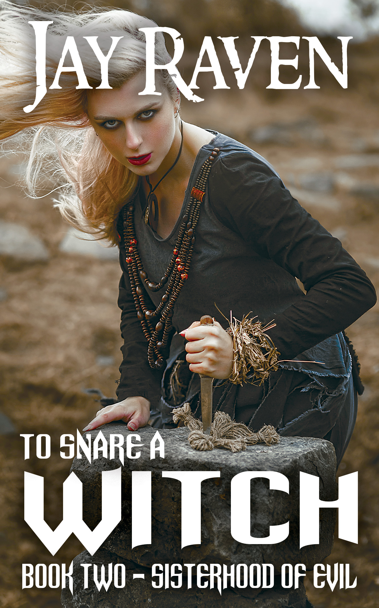 Sisterhood of Evil (To Snare a Witch #2) by Jay Raven | Goodreads