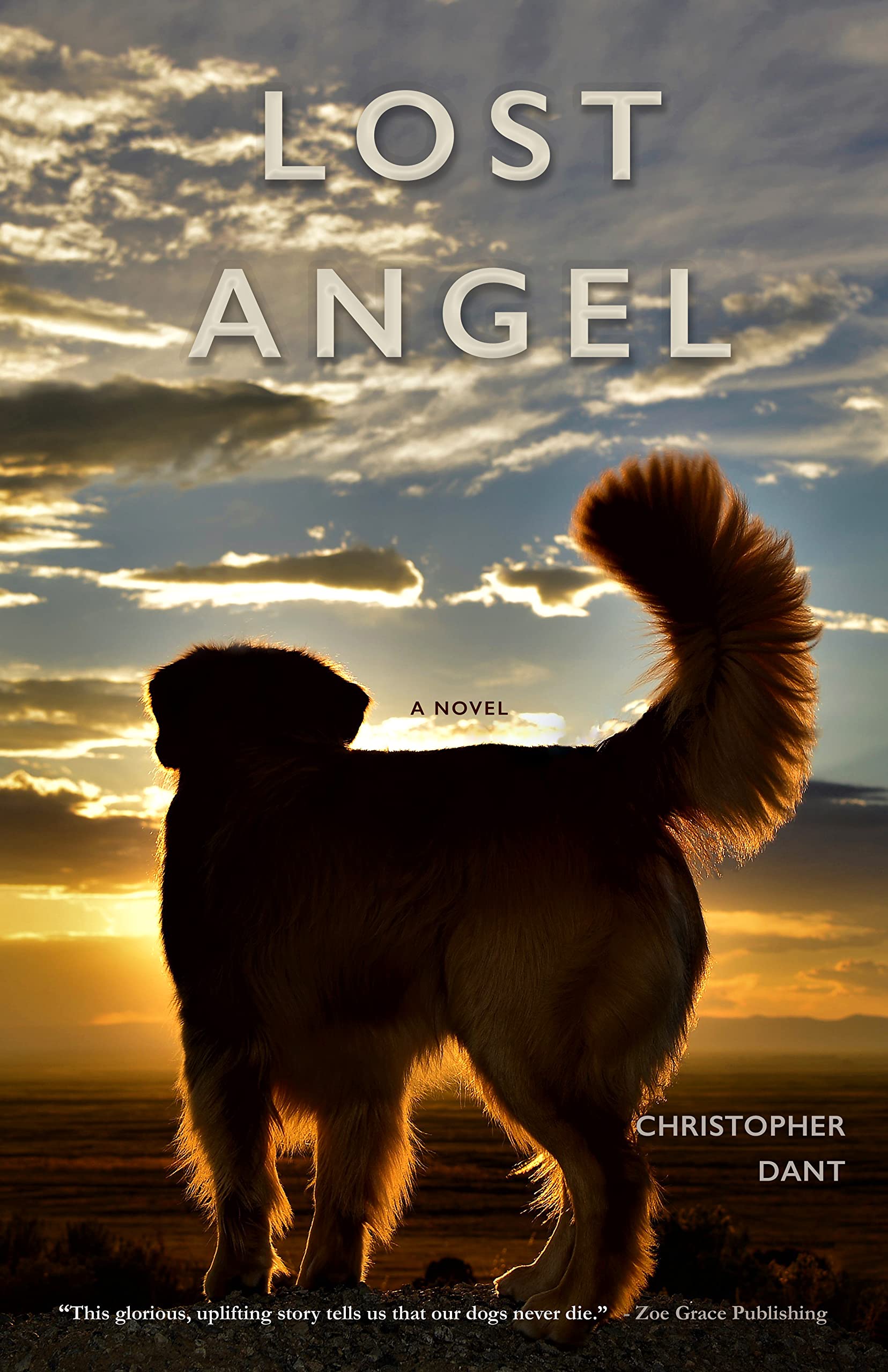 Lost Angel by Christopher Dant | Goodreads
