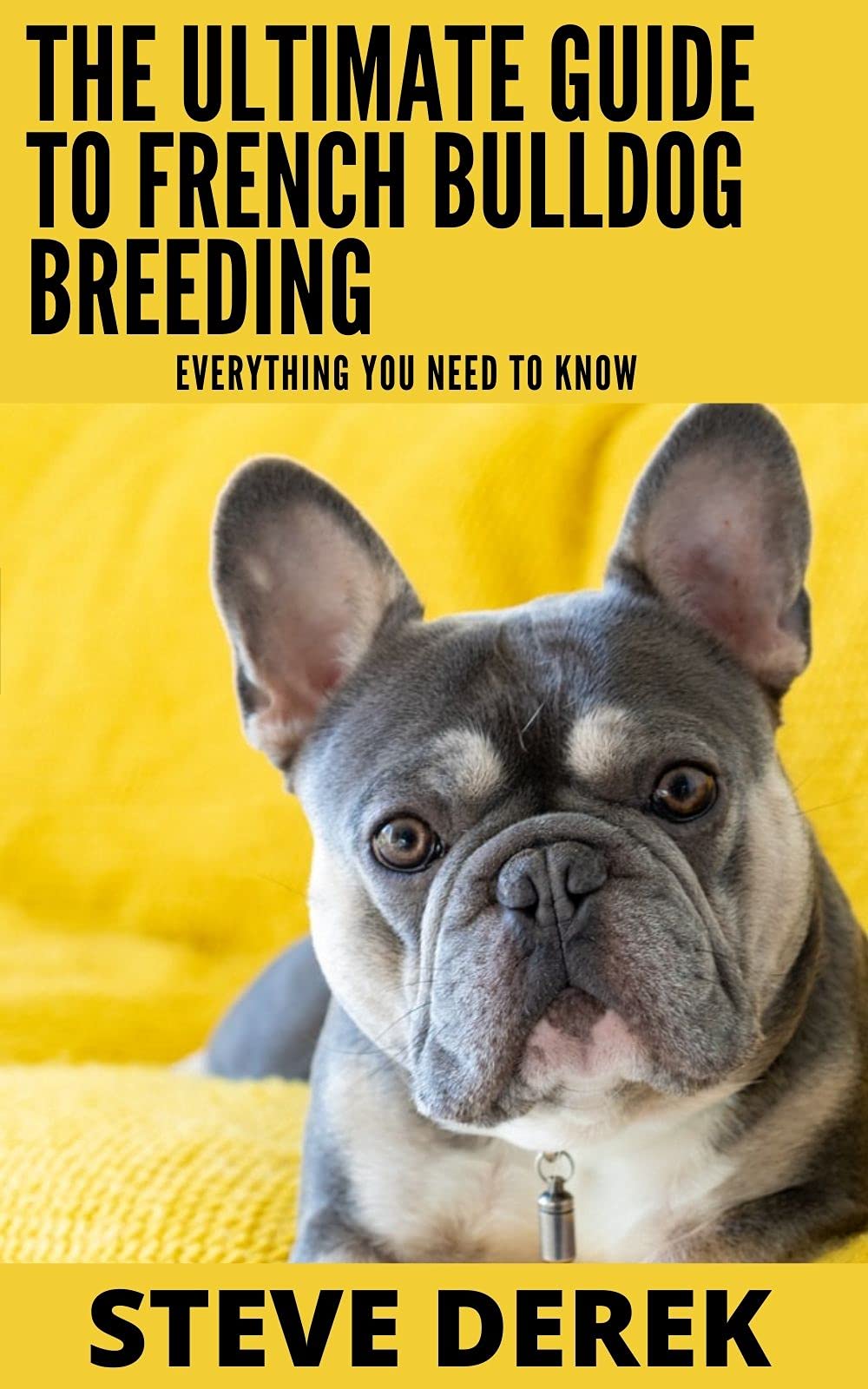 The Ultimate Guide To French Bulldog Breeding: Everything You Need To ...