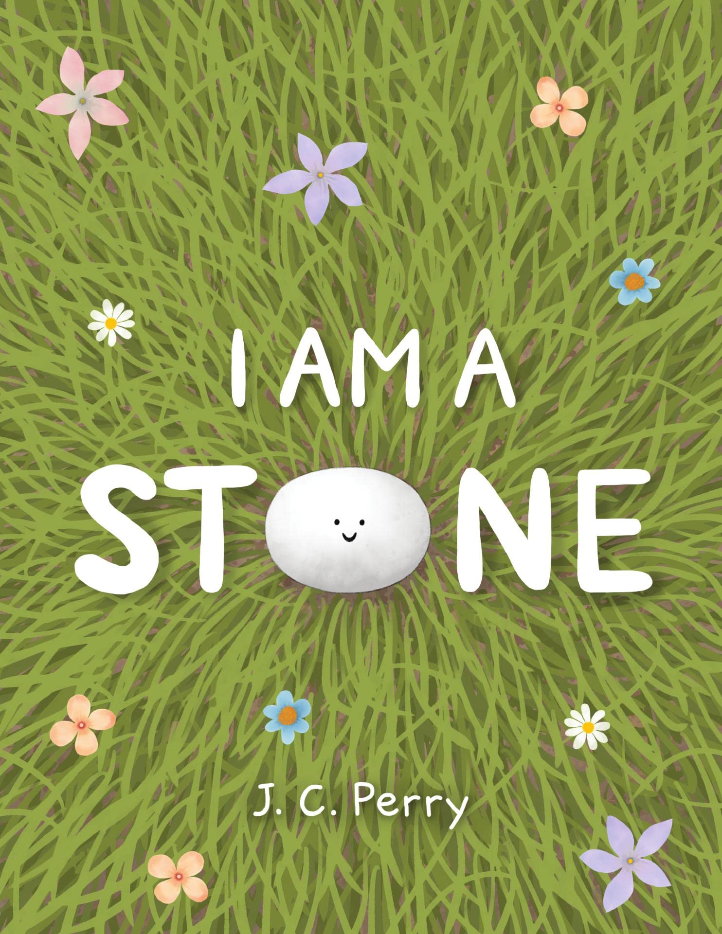 I Am a Stone: A beautifully illustrated rhyming story full of fun and ...