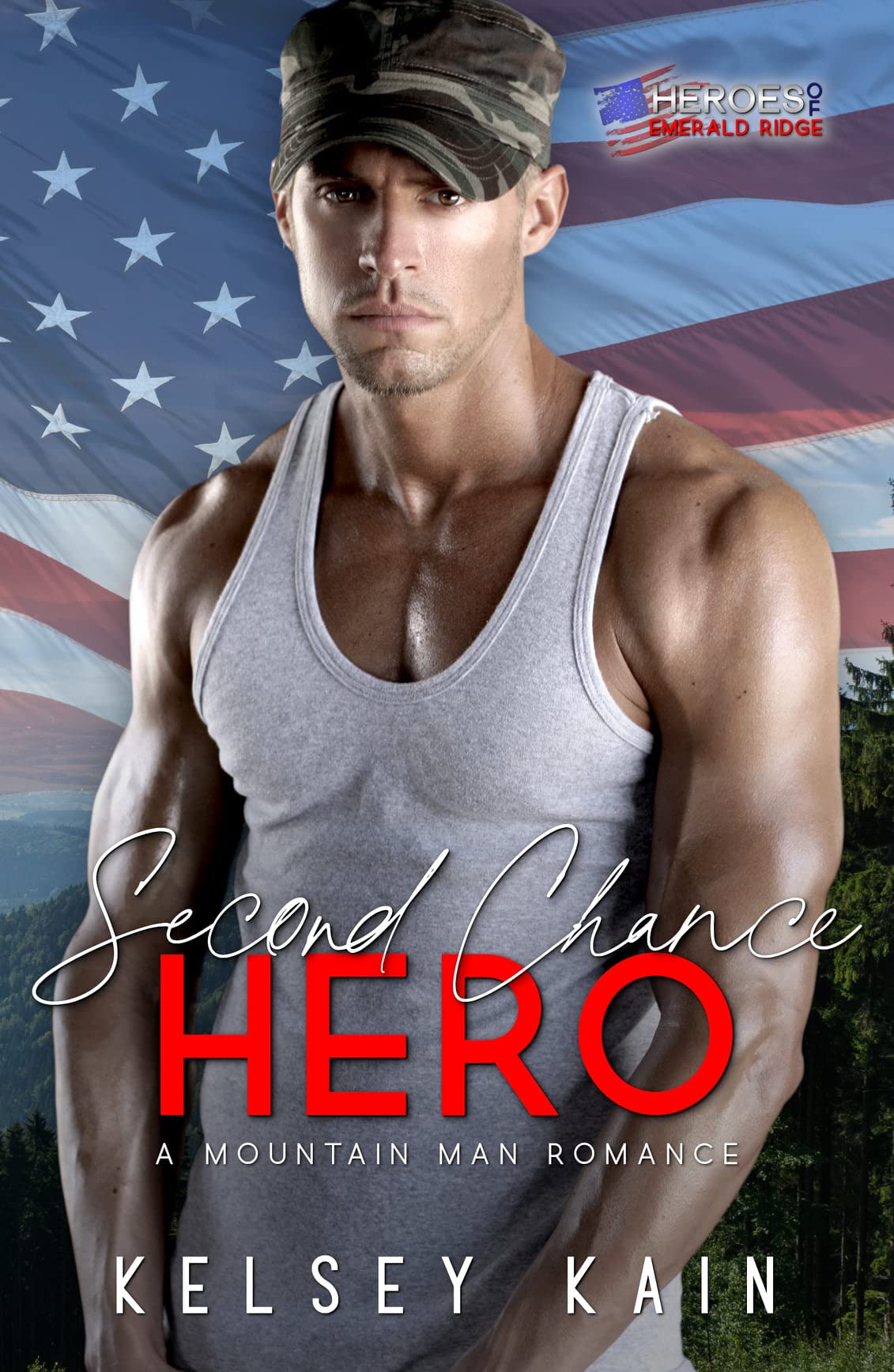 Second Chance Hero (Heroes of Emerald Ridge) by Kelsey Kain | Goodreads