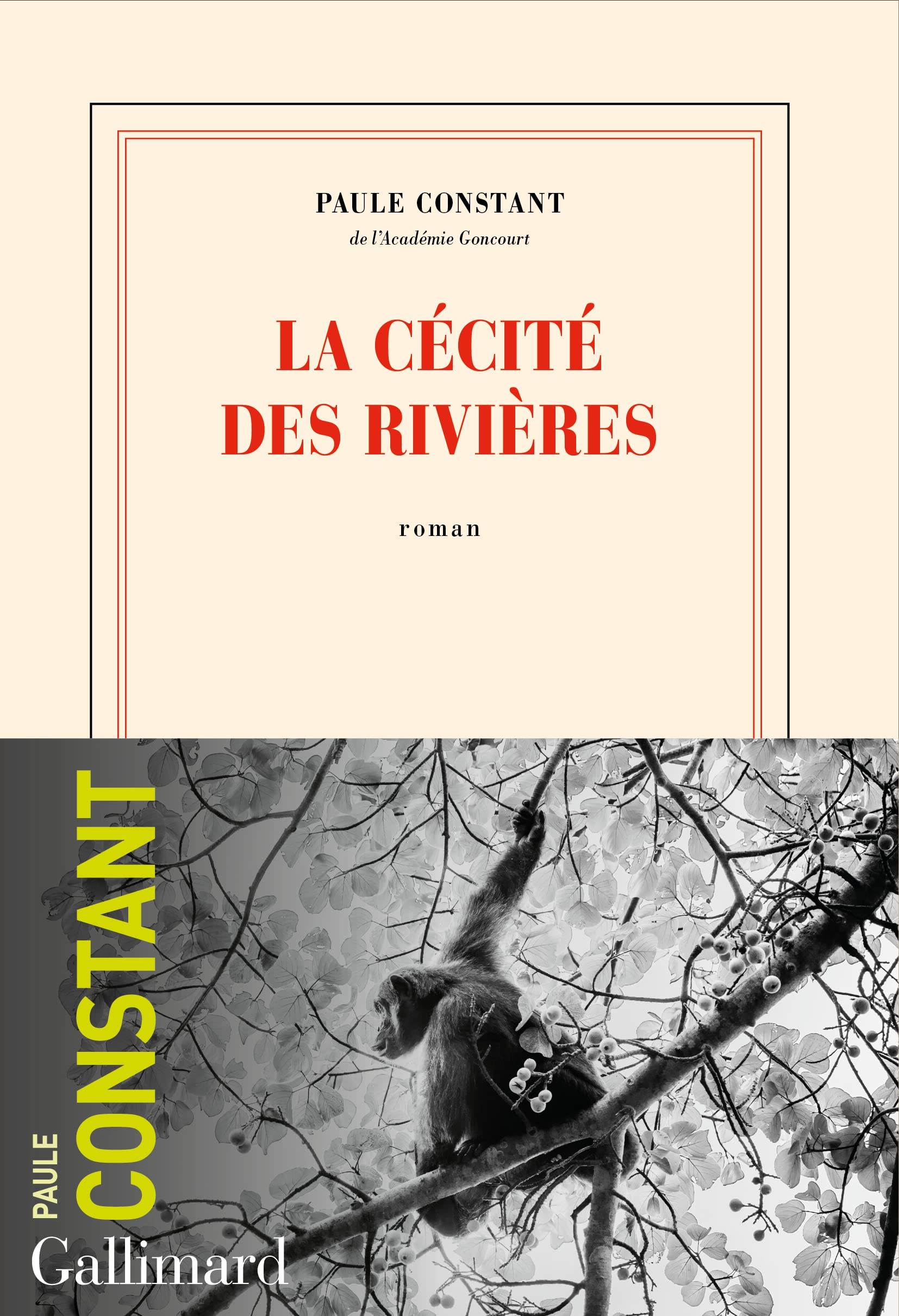 La cécité des rivières by Paule Constant | Goodreads