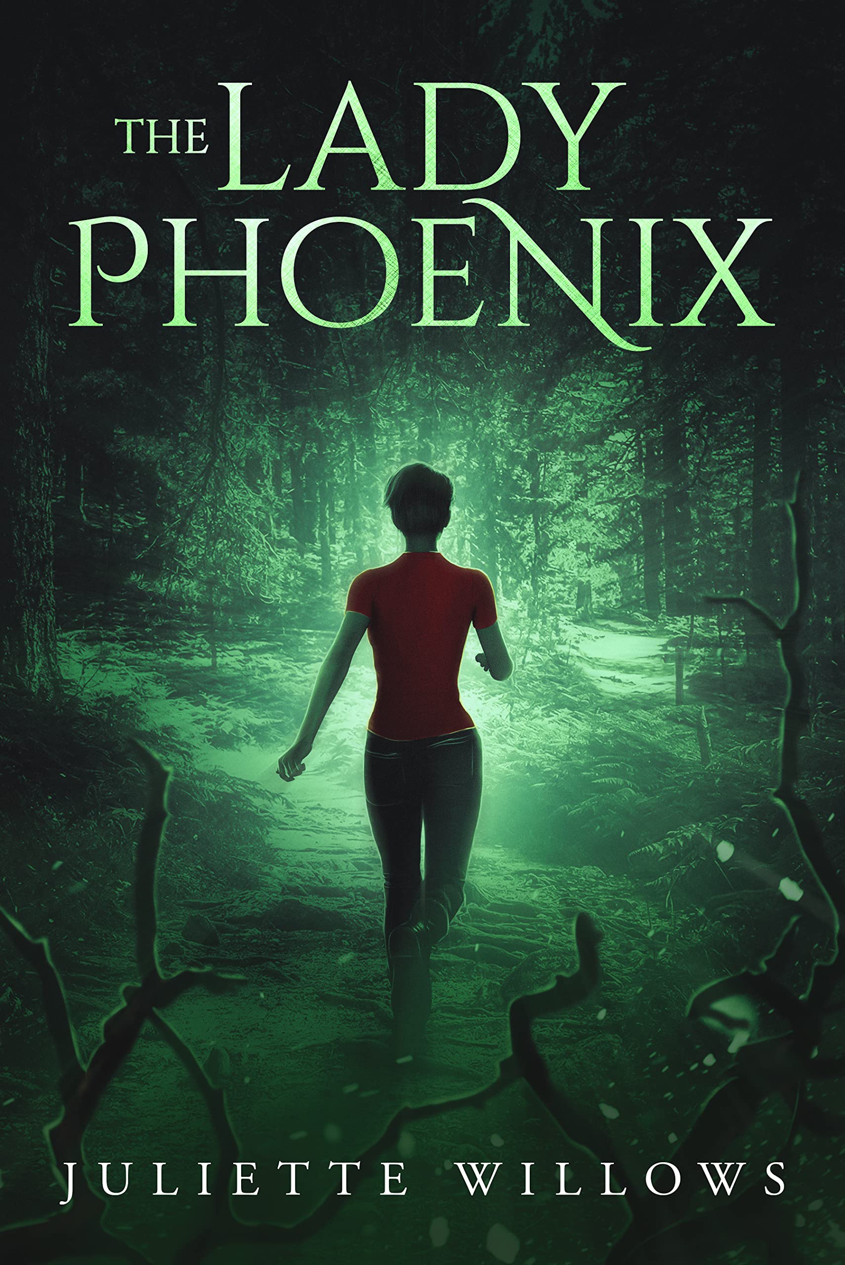 The Lady Phoenix (HAVEN SHORE NOVELS Book 1) by Juliette Willows ...