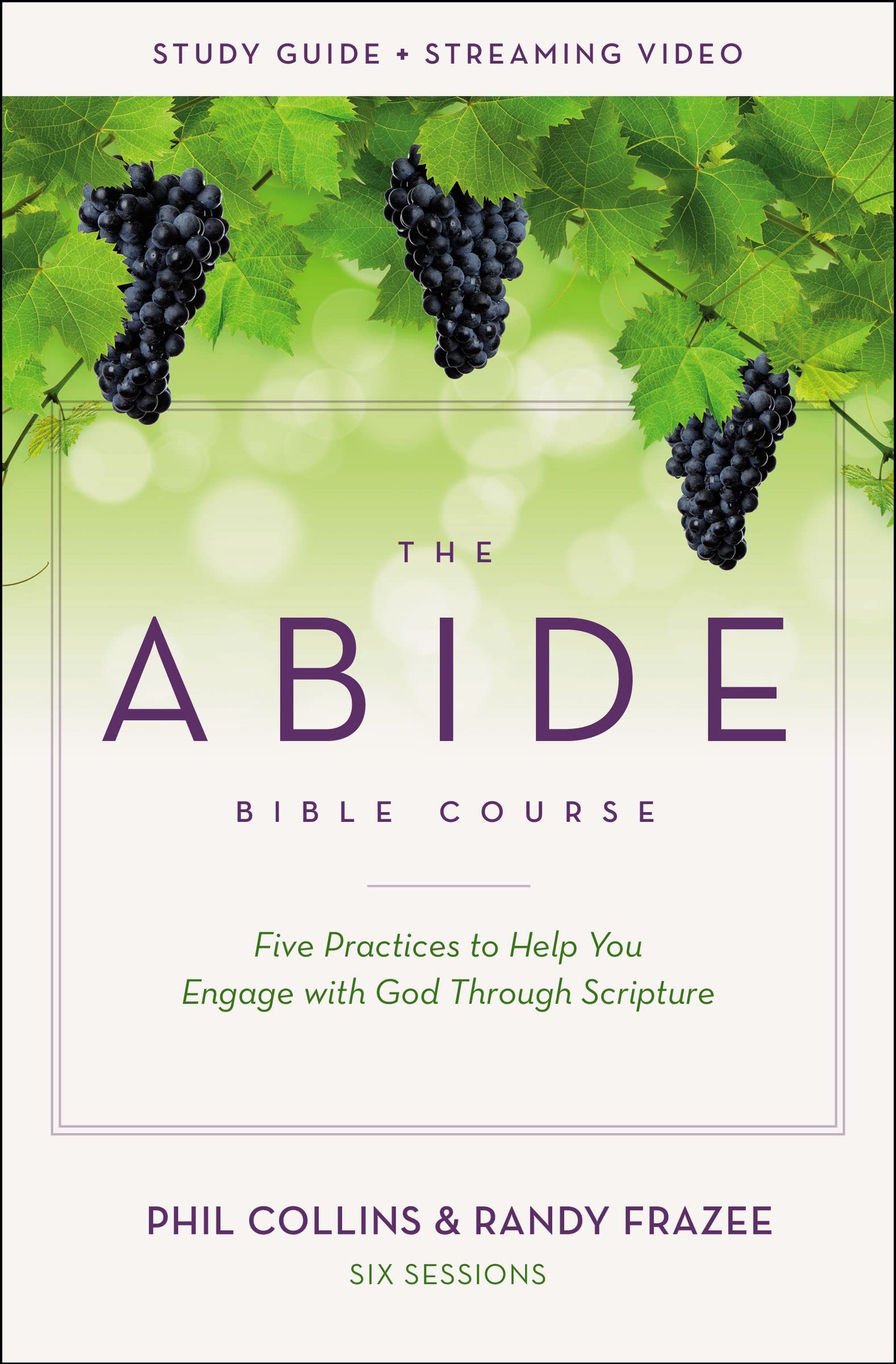 The Abide Bible Course Study Guide plus Streaming Video: Five Practices ...