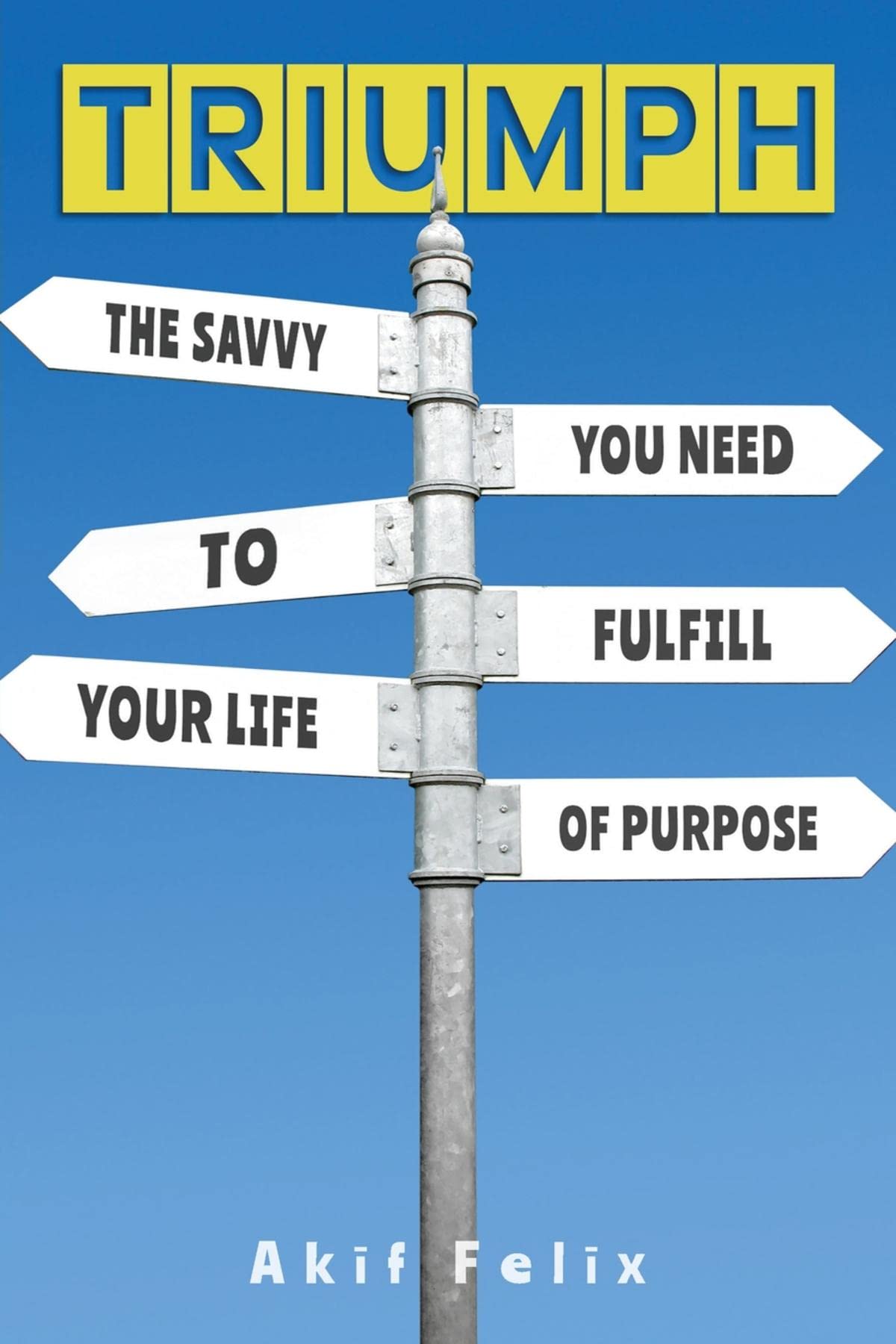 Triumph: The Savvy You Need To Fulfill Your Life Of Purpose by Akif ...