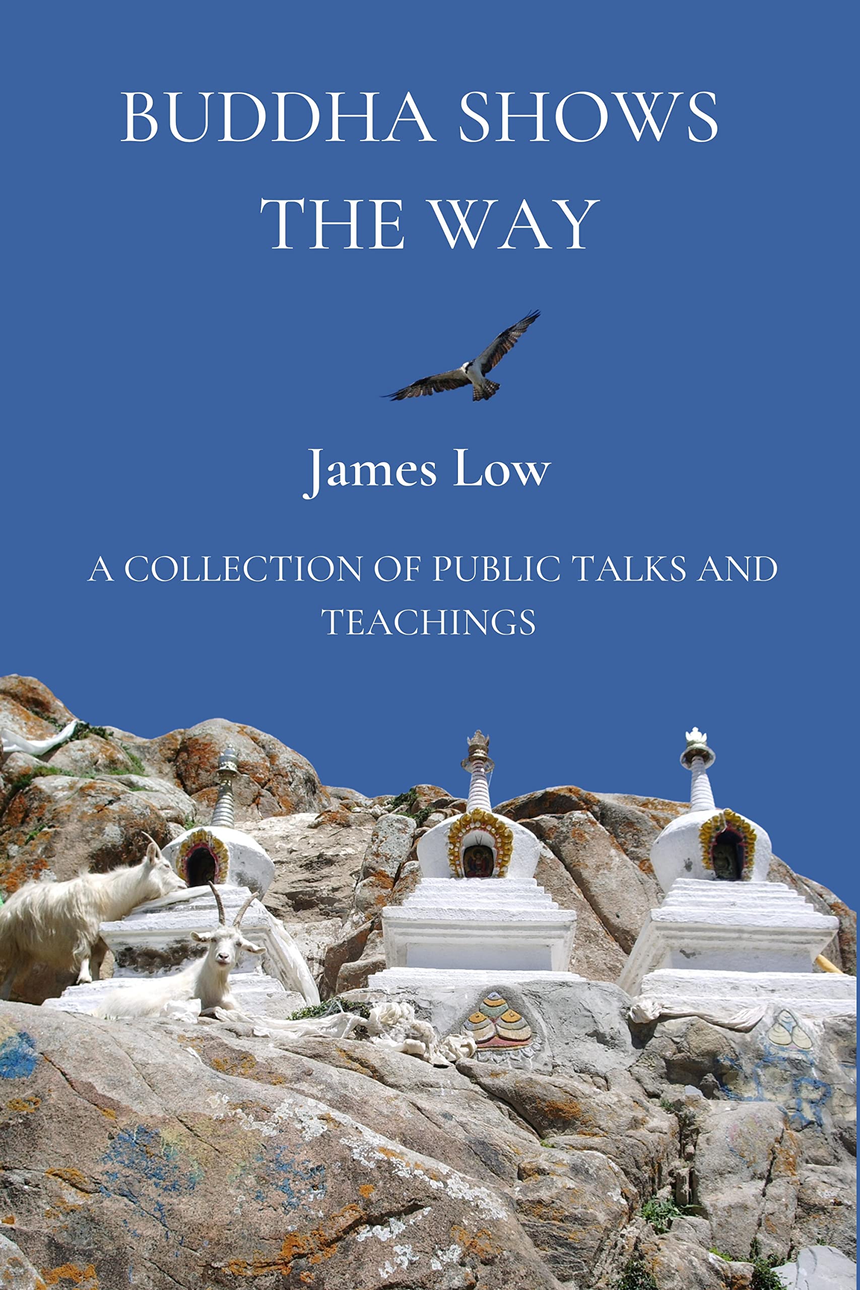 Buddha shows the way: a collection of public talks and teachings by ...