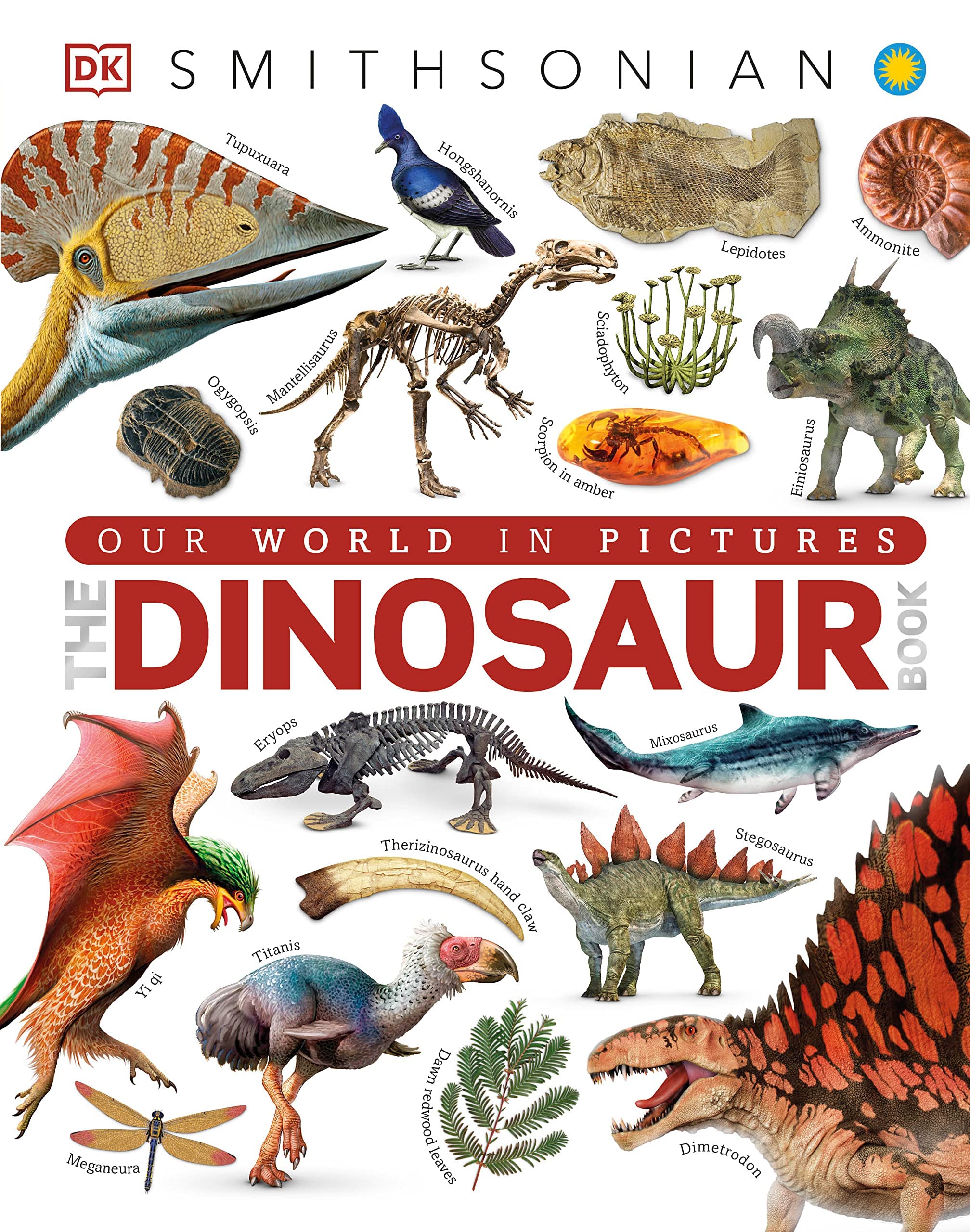 The Dinosaur Book: And Other Wonders of the Prehistoric World by DK ...
