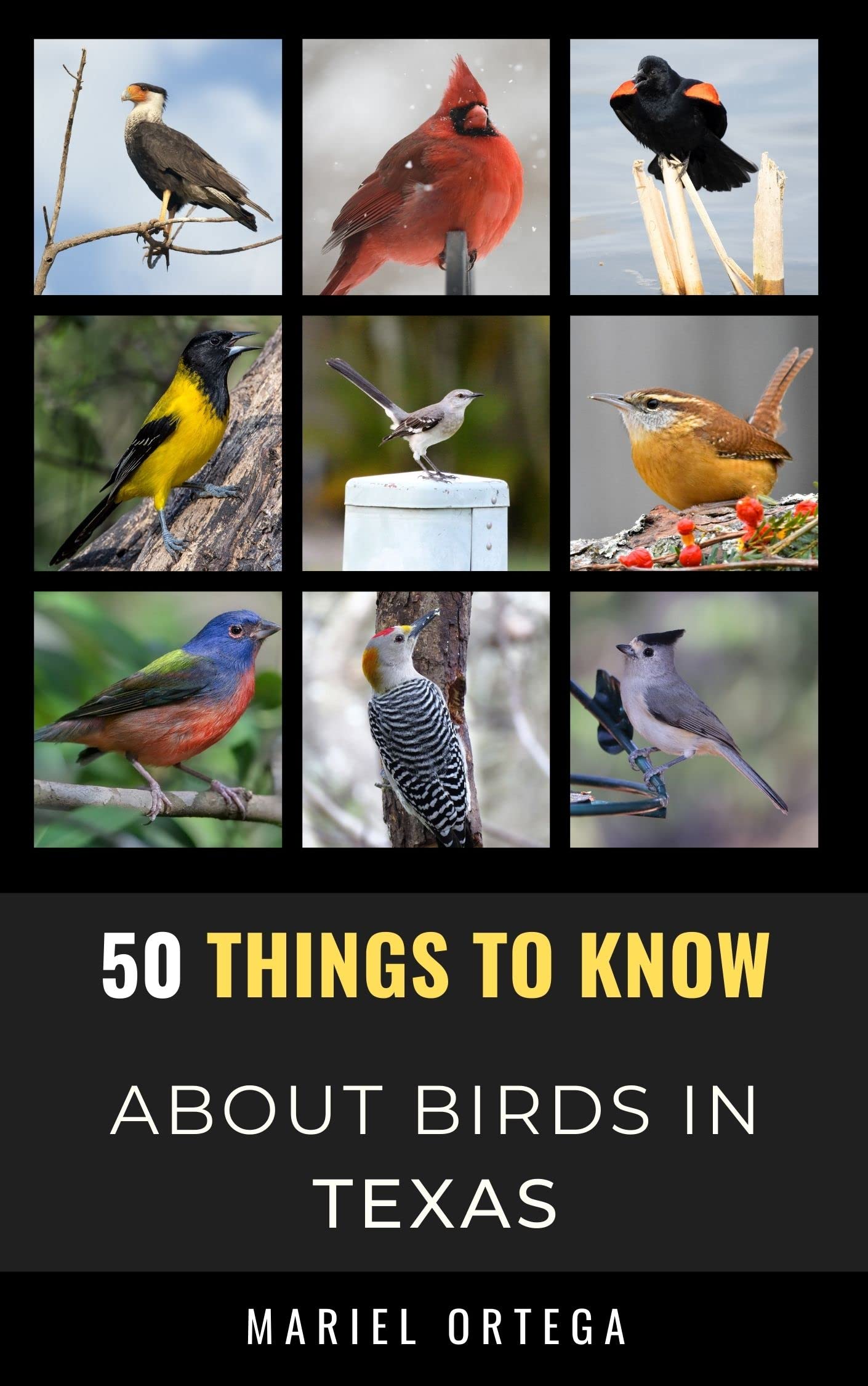 50 Things to Know About Birds in Texas : Birding in the Texas by Mariel ...