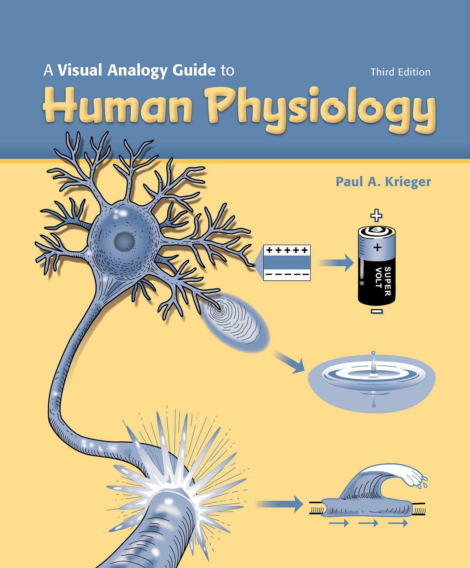 A Visual Analogy Guide to Human Physiology, 3e by Paul A. Krieger ...