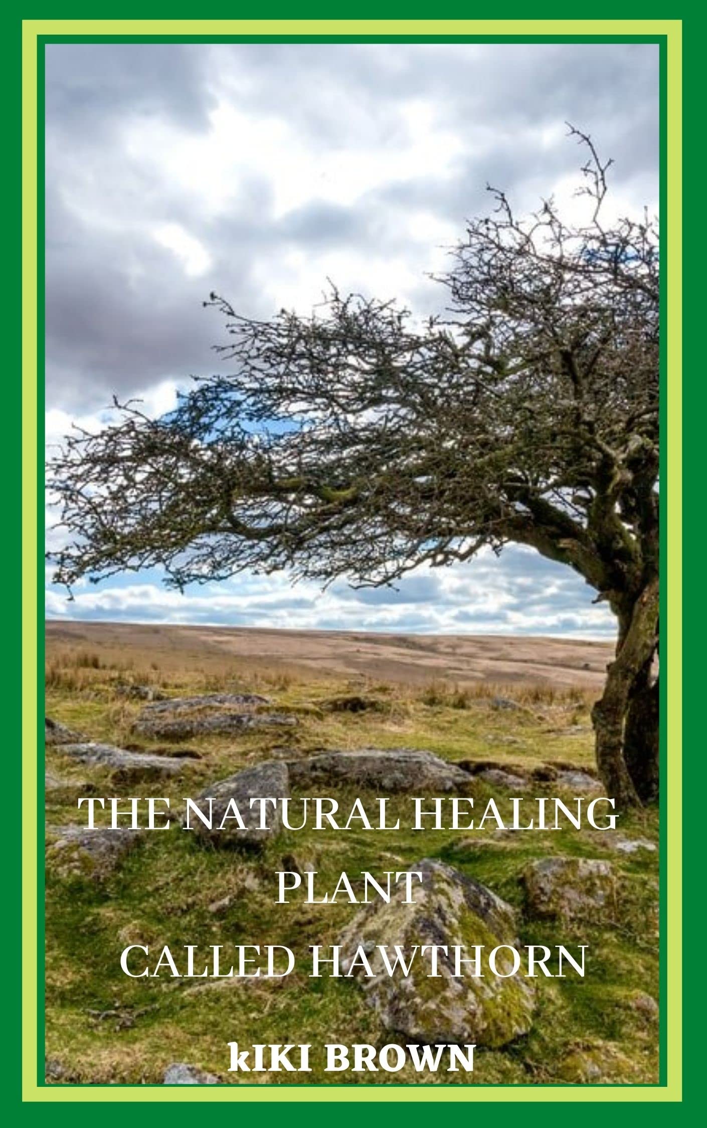 The modern herbal tree Called Hawthorn: The Natural Healing Plant Tree ...