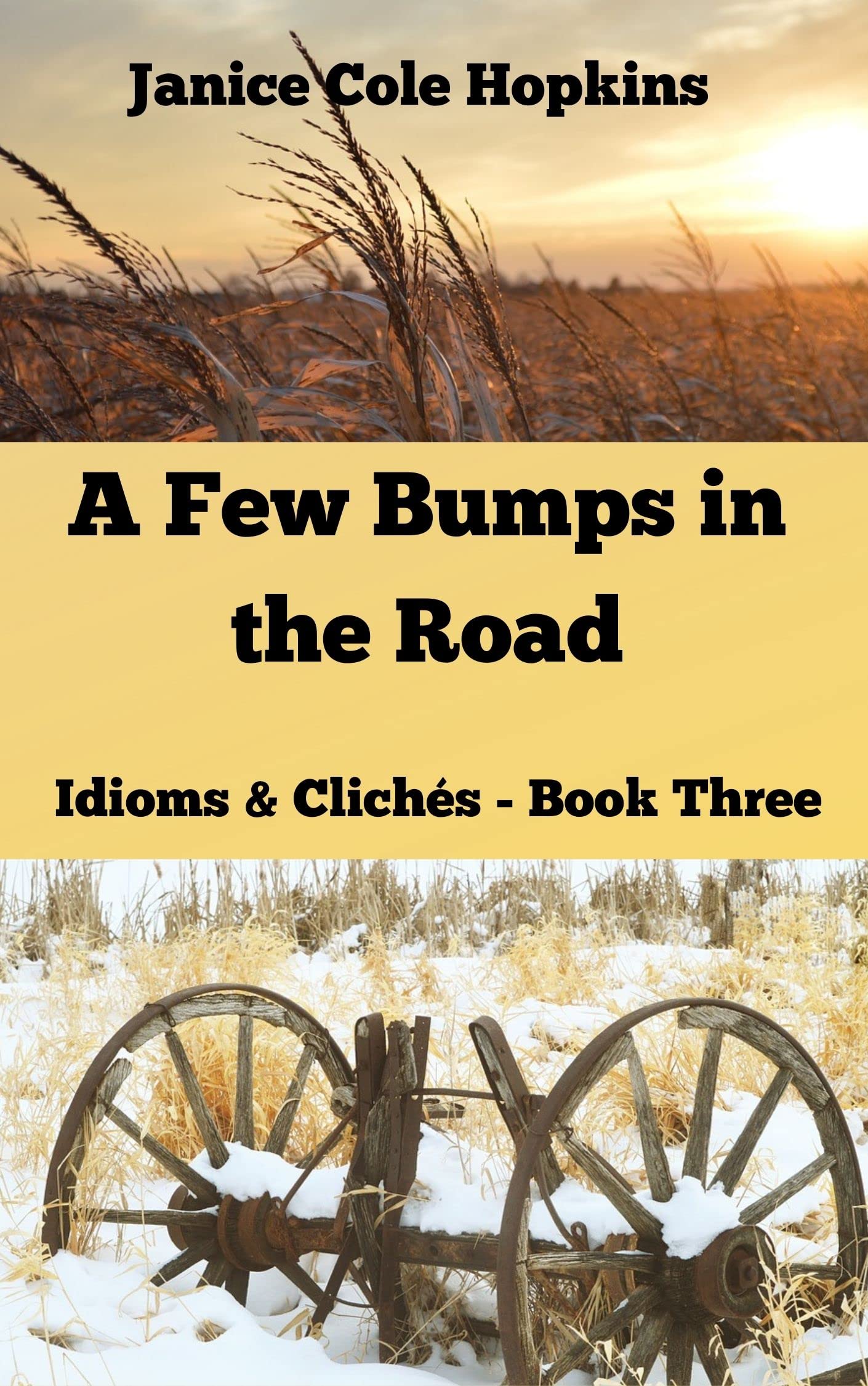 A Few Bumps in the Road by Janice Cole Hopkins | Goodreads