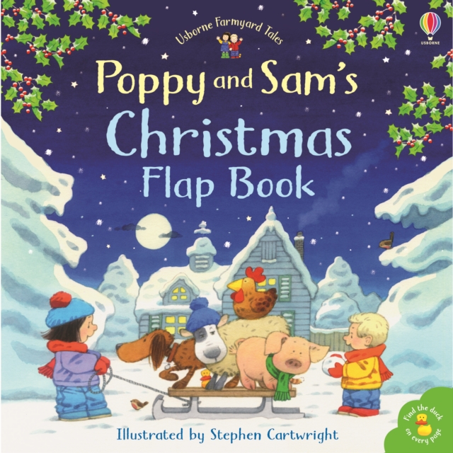 Poppy and Sam's Lift-the-Flap Christmas by Sam Taplin | Goodreads
