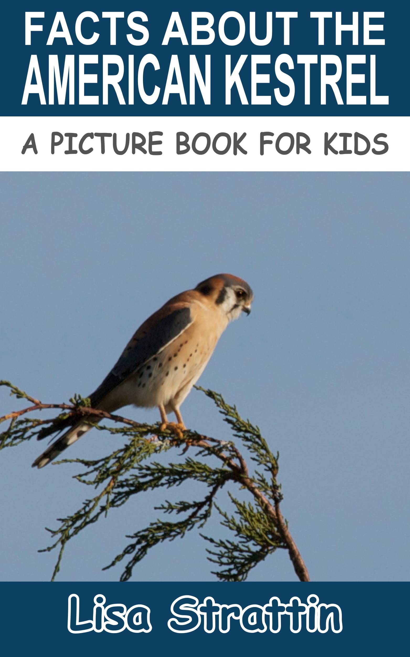 Facts About the American Kestrel by Lisa Strattin | Goodreads