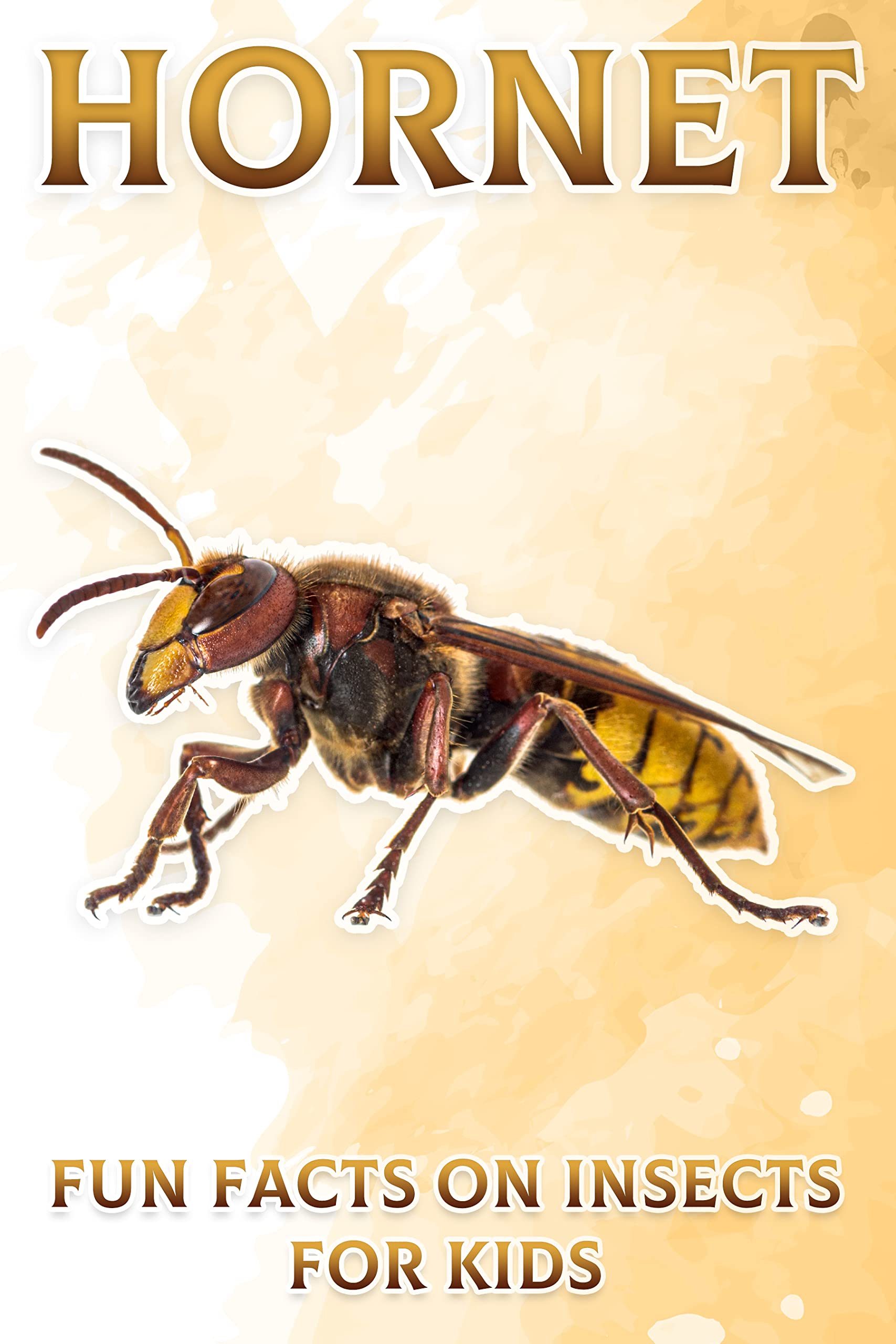Hornet: Fun Facts on Insects for Kids #8 by Michelle Hawkins | Goodreads