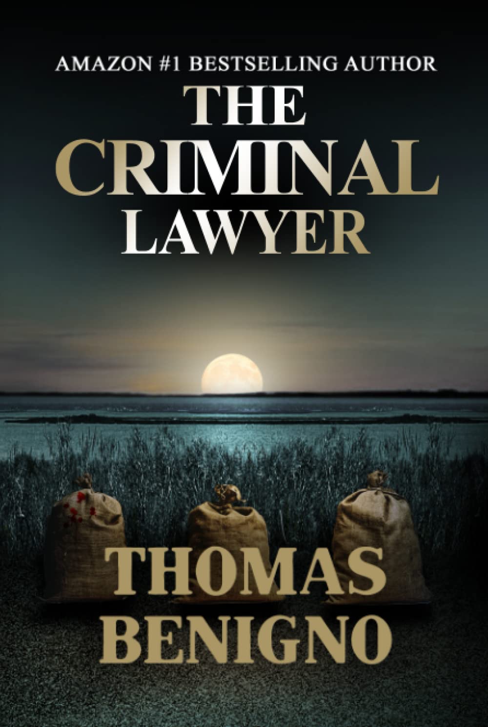 The Criminal Lawyer (The Good Lawyer Series) by Thomas Benigno | Goodreads