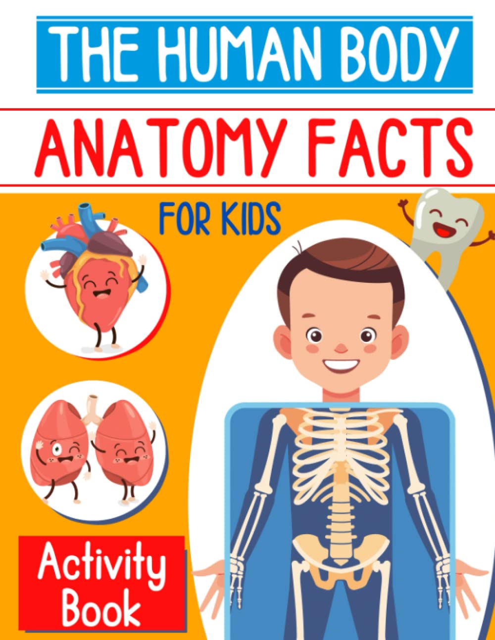 Organ Systems Of The Human Body For Kids