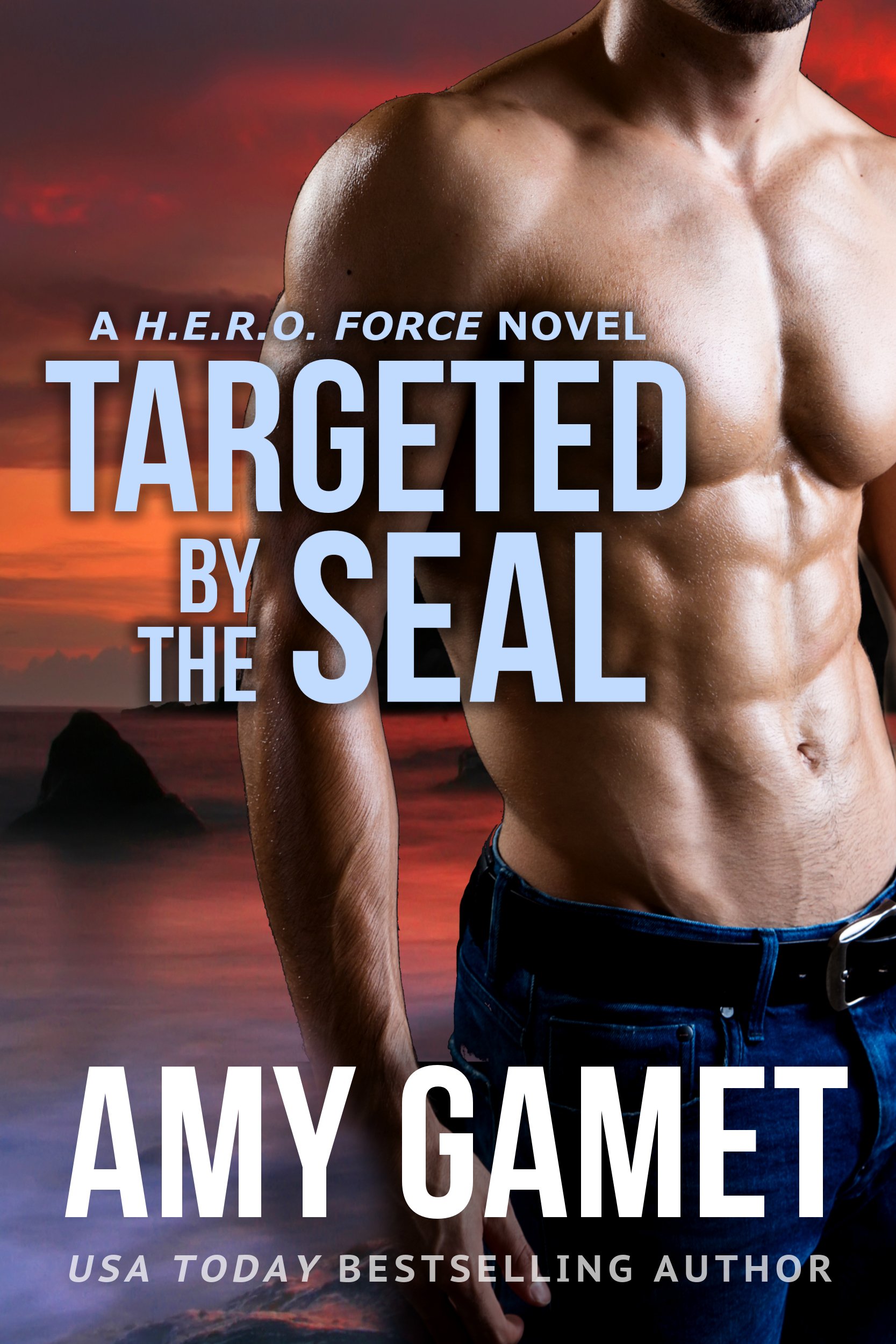 Targeted by the SEAL (HERO Force #6) by Amy Gamet | Goodreads