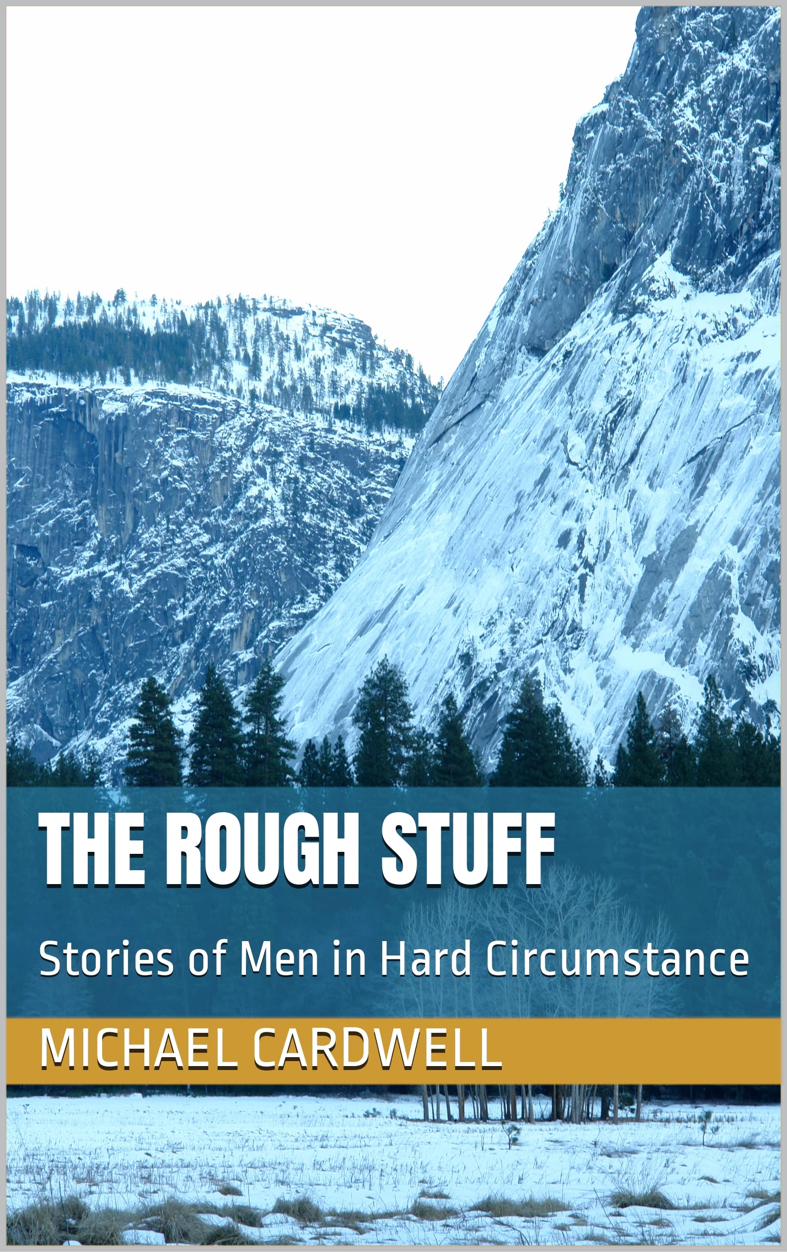 The Rough Stuff: Stories of Men in Hard Circumstance by Michael ...
