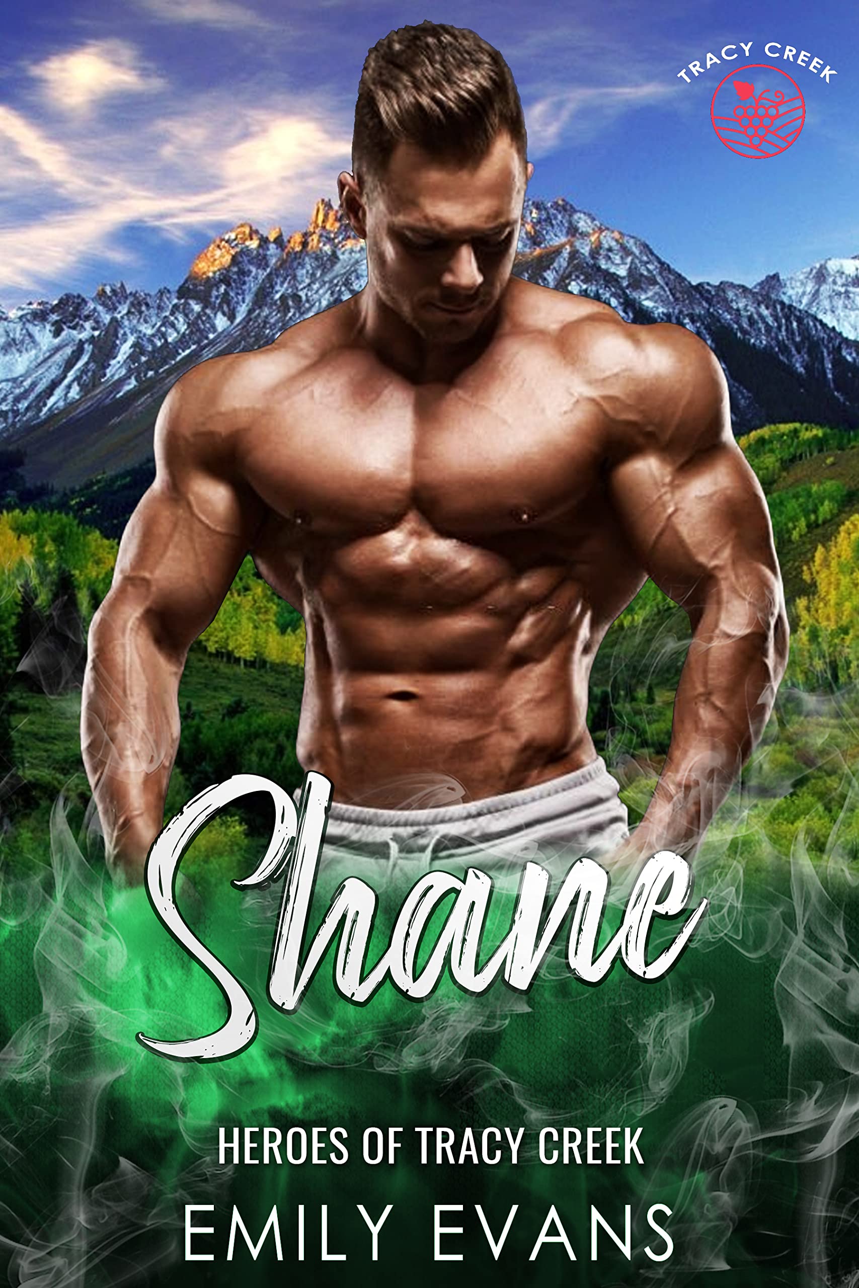 Shane (Heroes of Tracy Creek Book 5) by Emily Evans | Goodreads