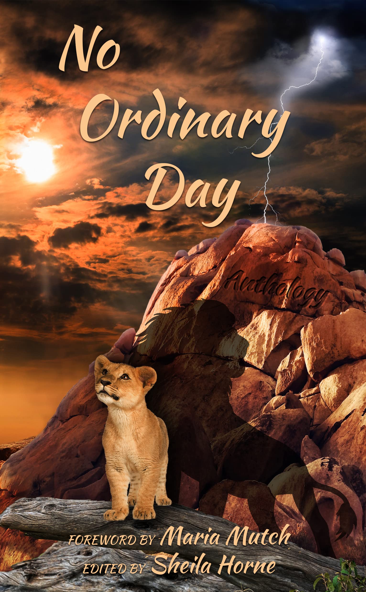 No Ordinary Day: A WCYR Anthology of Short Works by Writers' Community ...