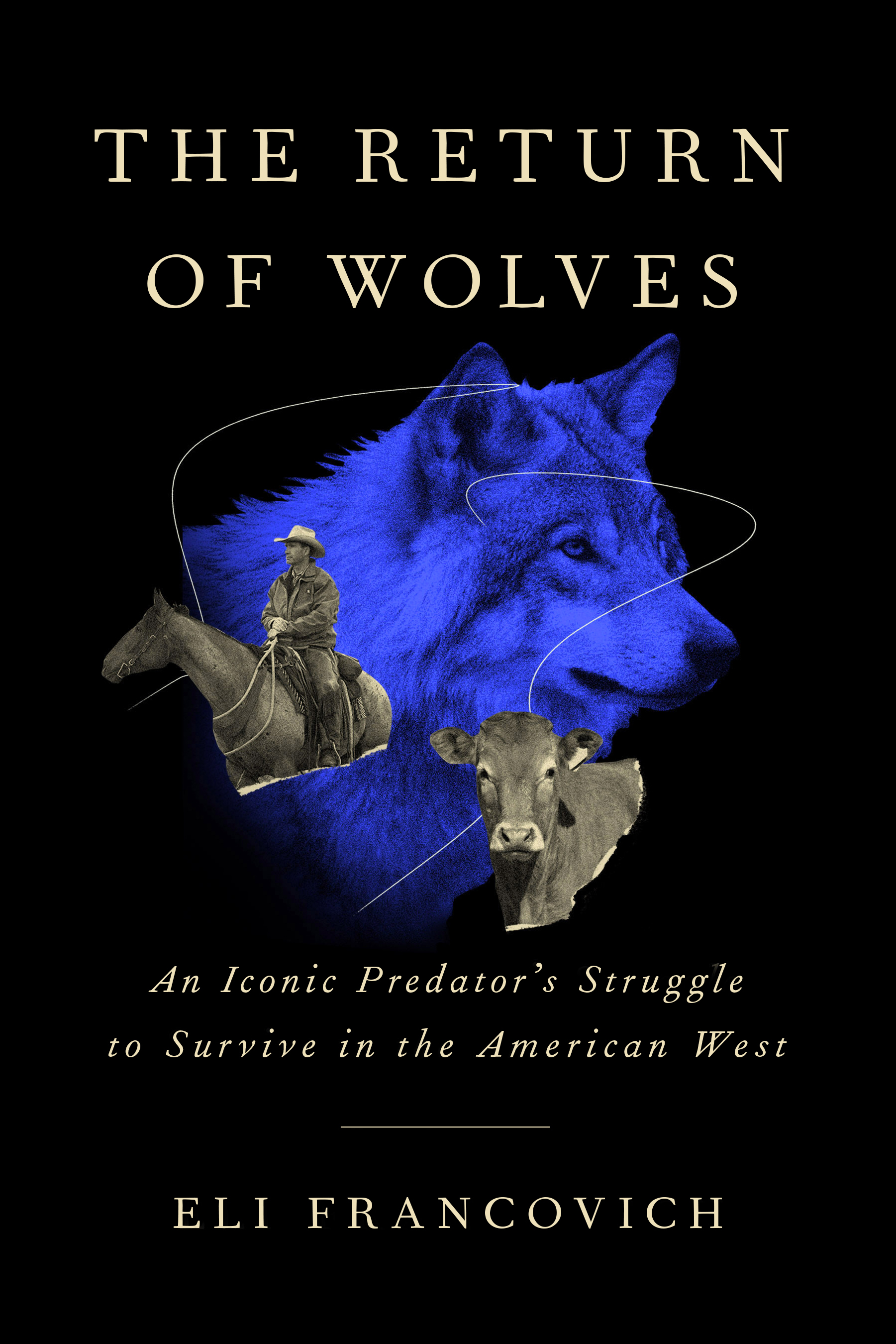 The Return of Wolves: An Iconic Predator’s Struggle to Survive in the ...