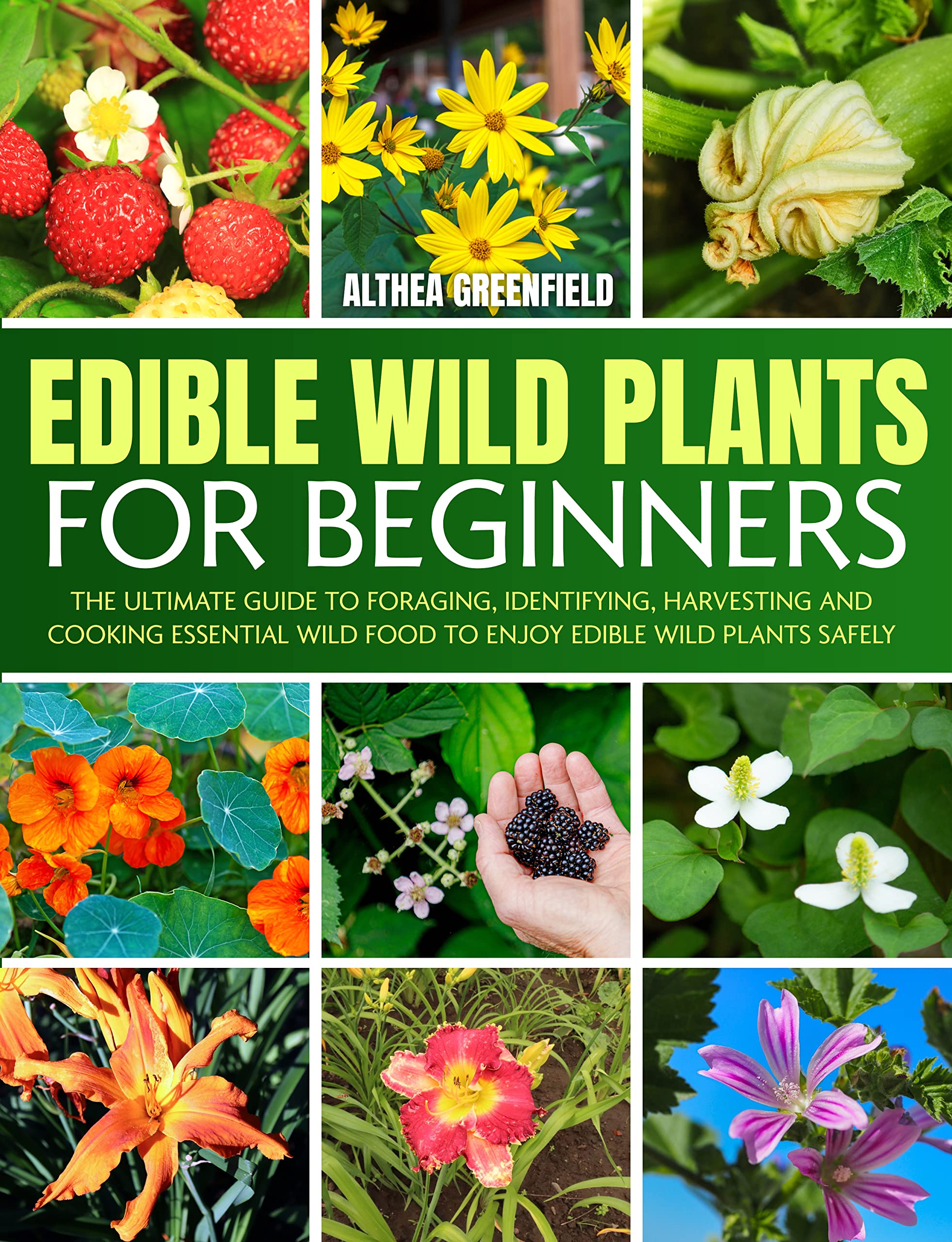 Edible Wild Plants For Beginners:: The Ultimate Guide to Foraging ...