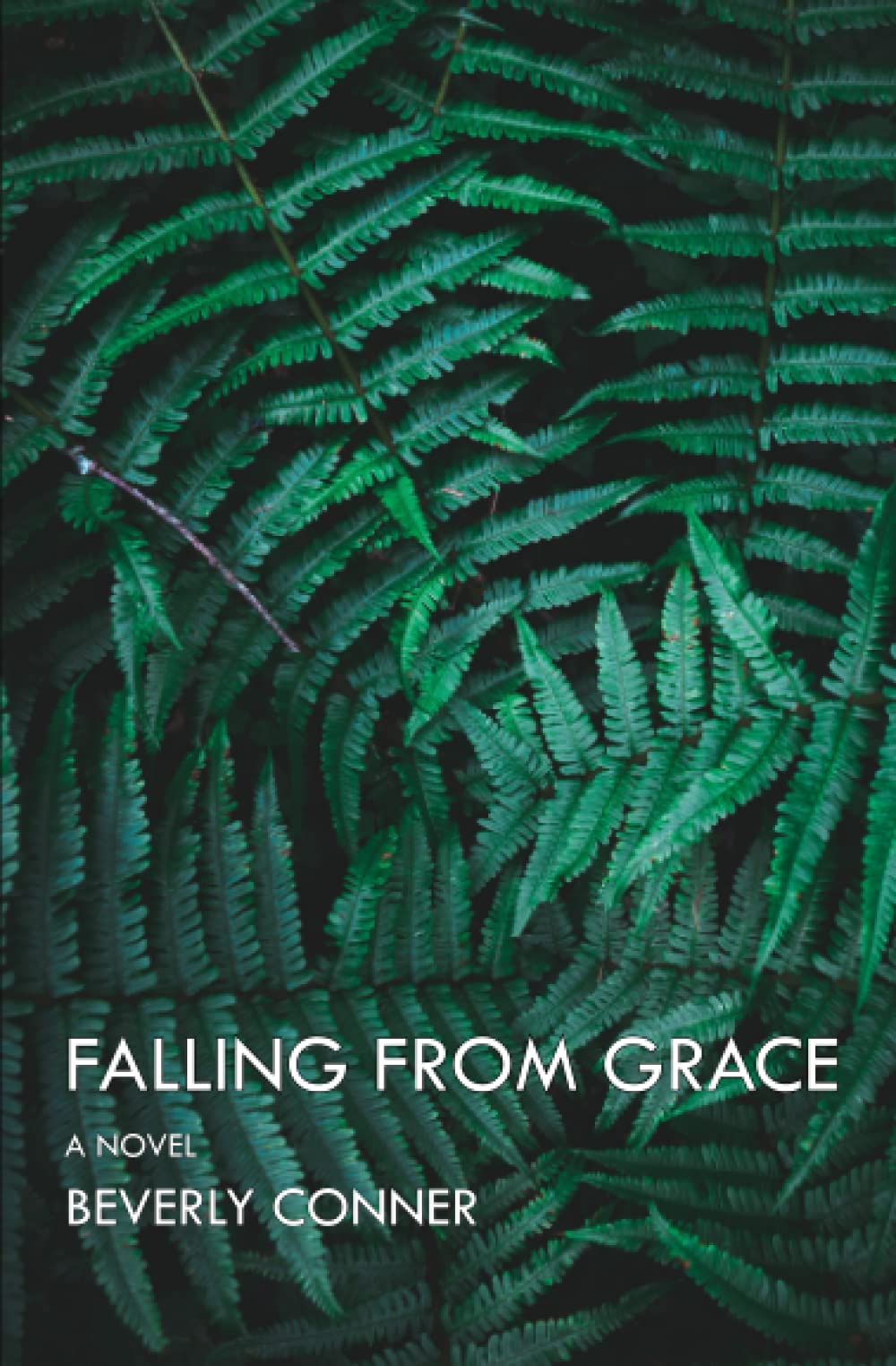 Falling From Grace by Beverly Conner | Goodreads