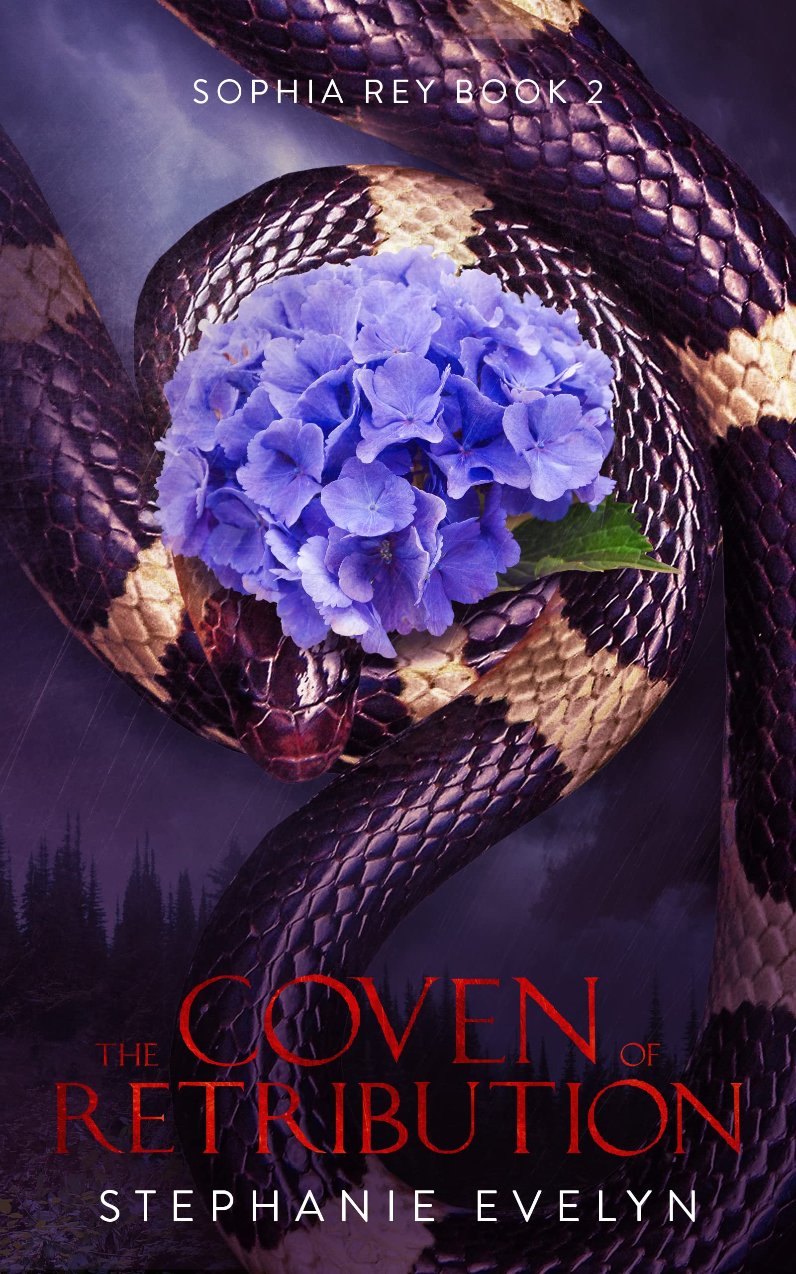 Sophia Rey Book 2: The Coven of Retribution by Stephanie Evelyn | Goodreads