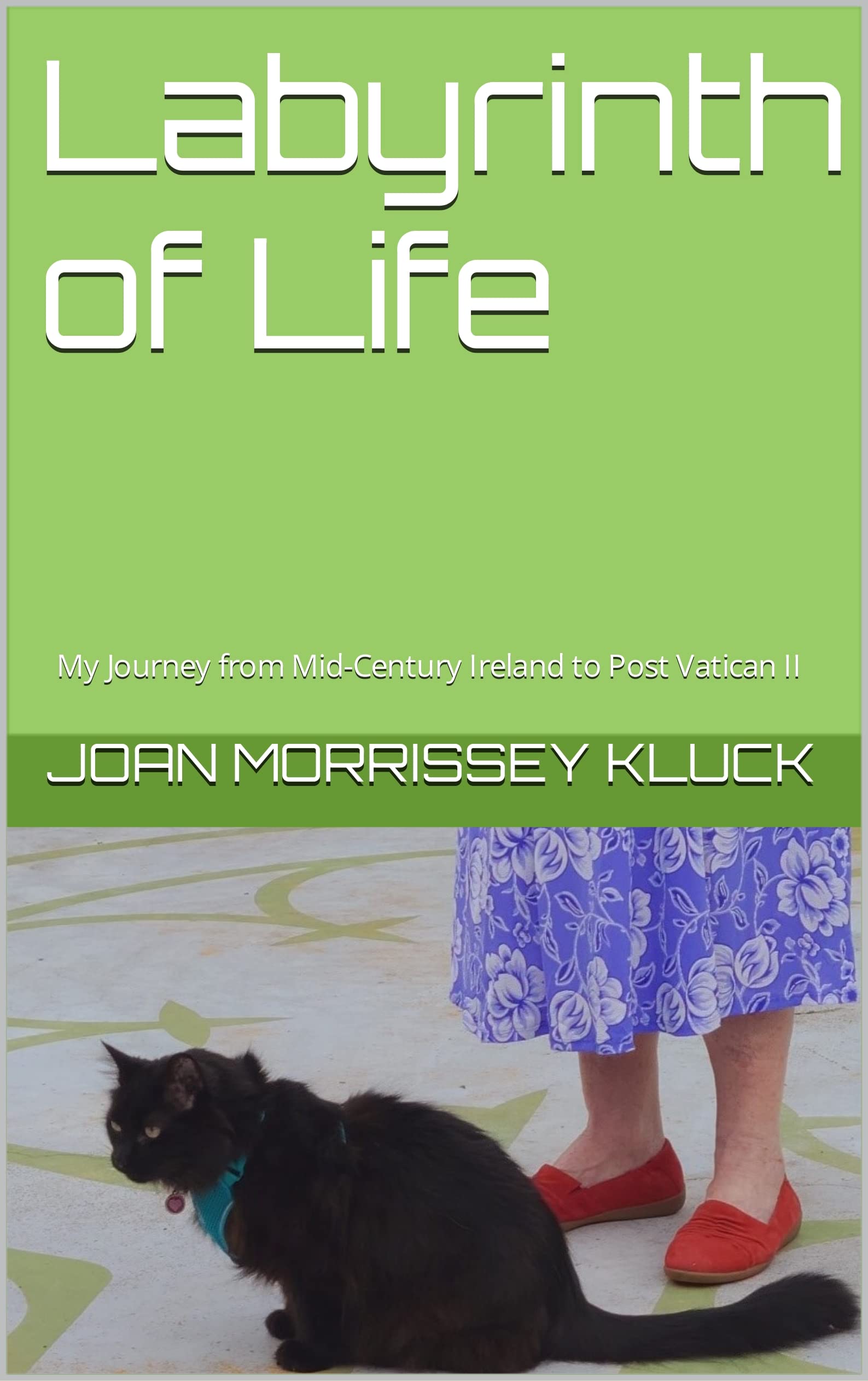 Labyrinth of Life: My Journey from Mid-Century Ireland to Post Vatican ...