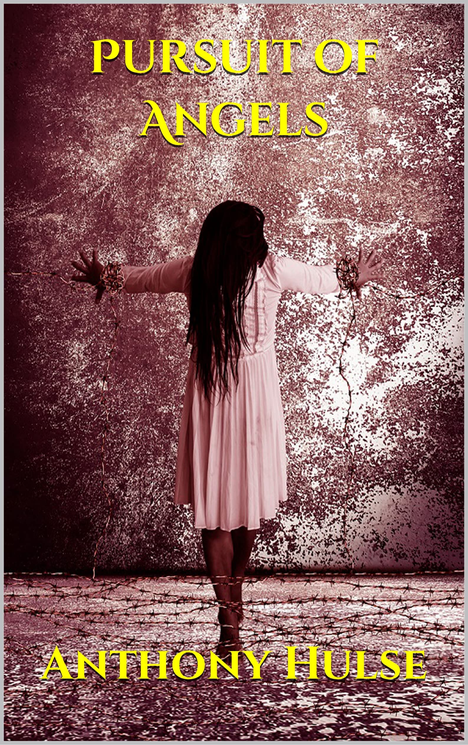 Pursuit of Angels by Anthony Hulse | Goodreads