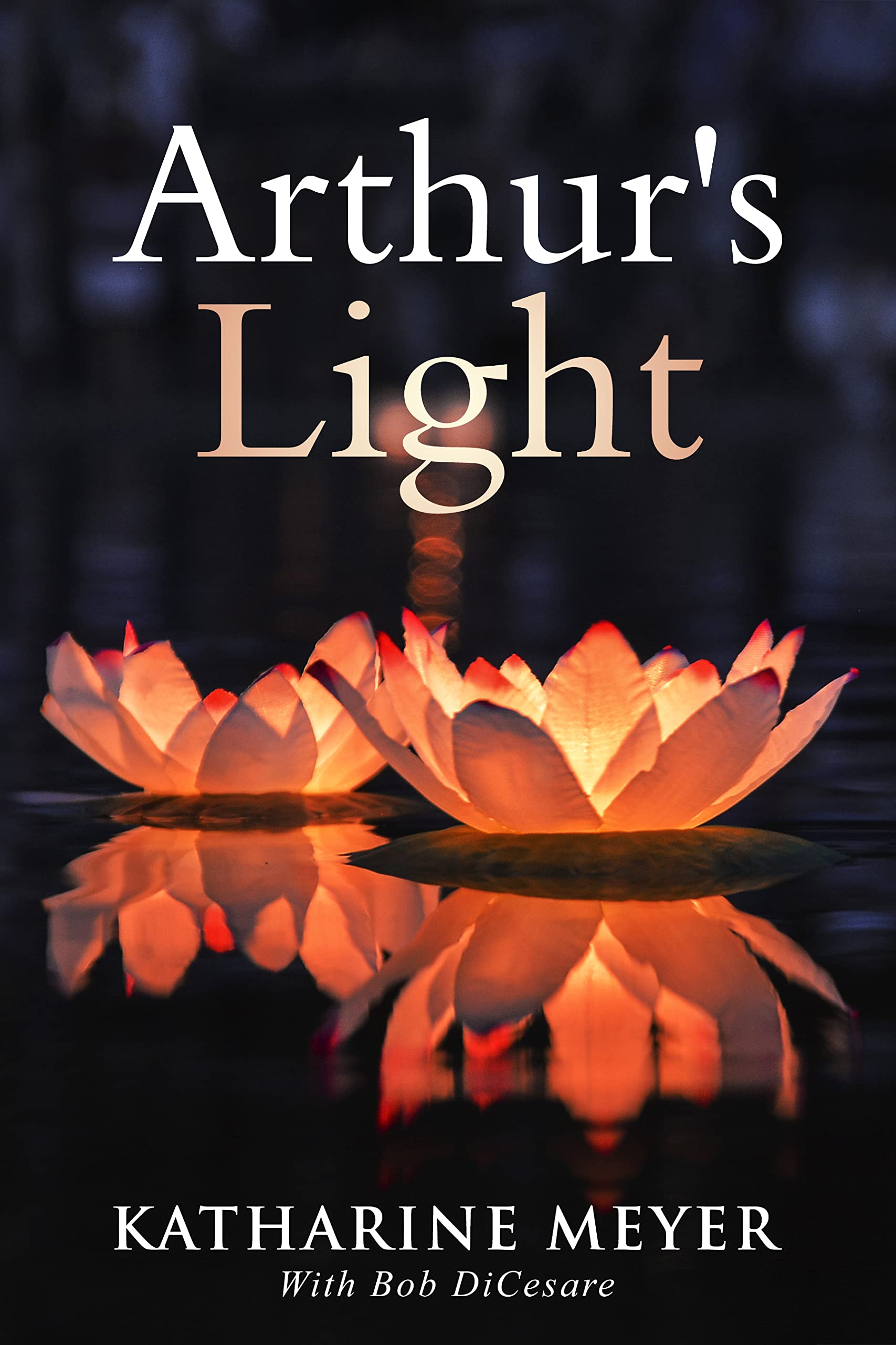 Arthur's Light by Katharine Meyer | Goodreads