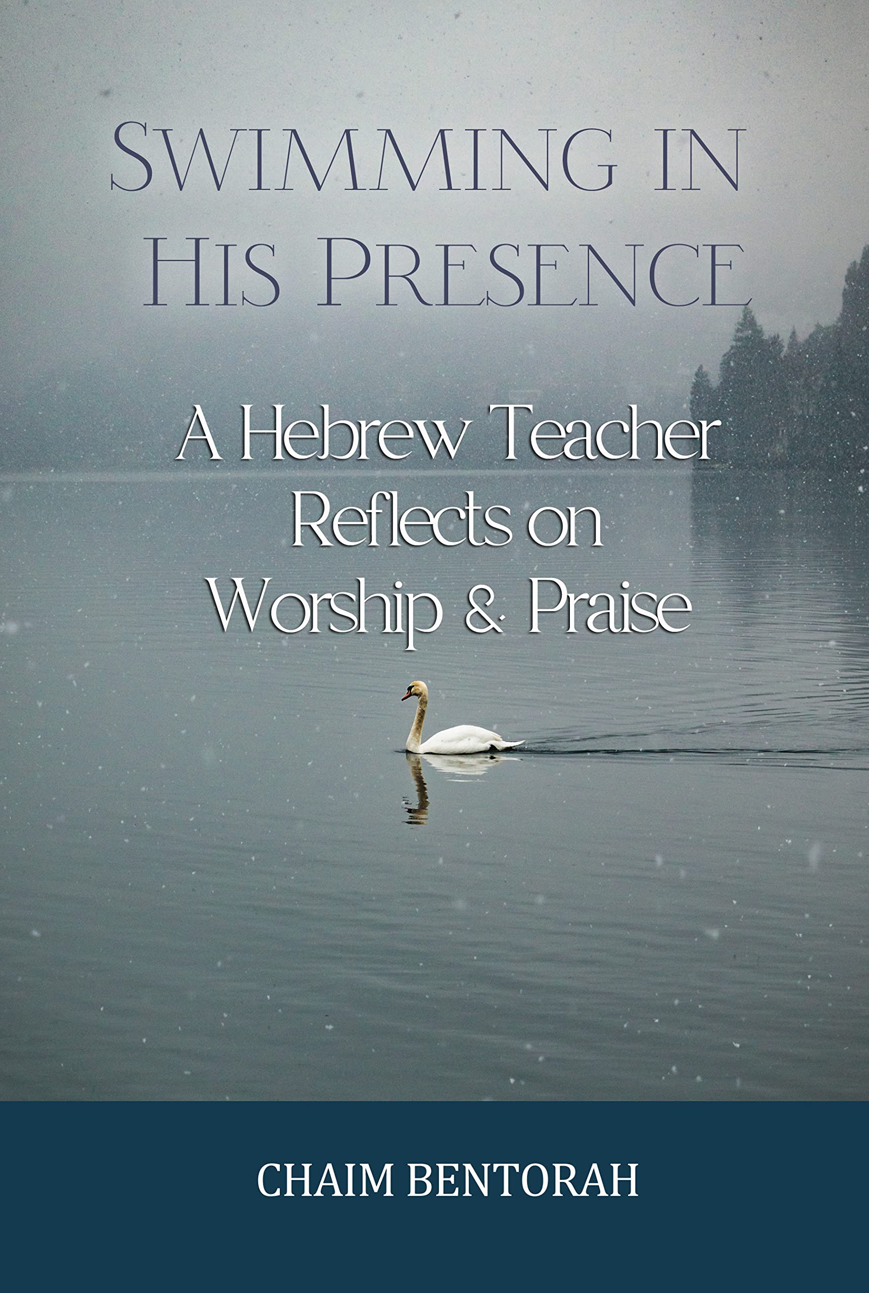 Swimming In His Presence: A Hebrew Teacher Reflects On Worship & Praise by Chaim Bentorah ...