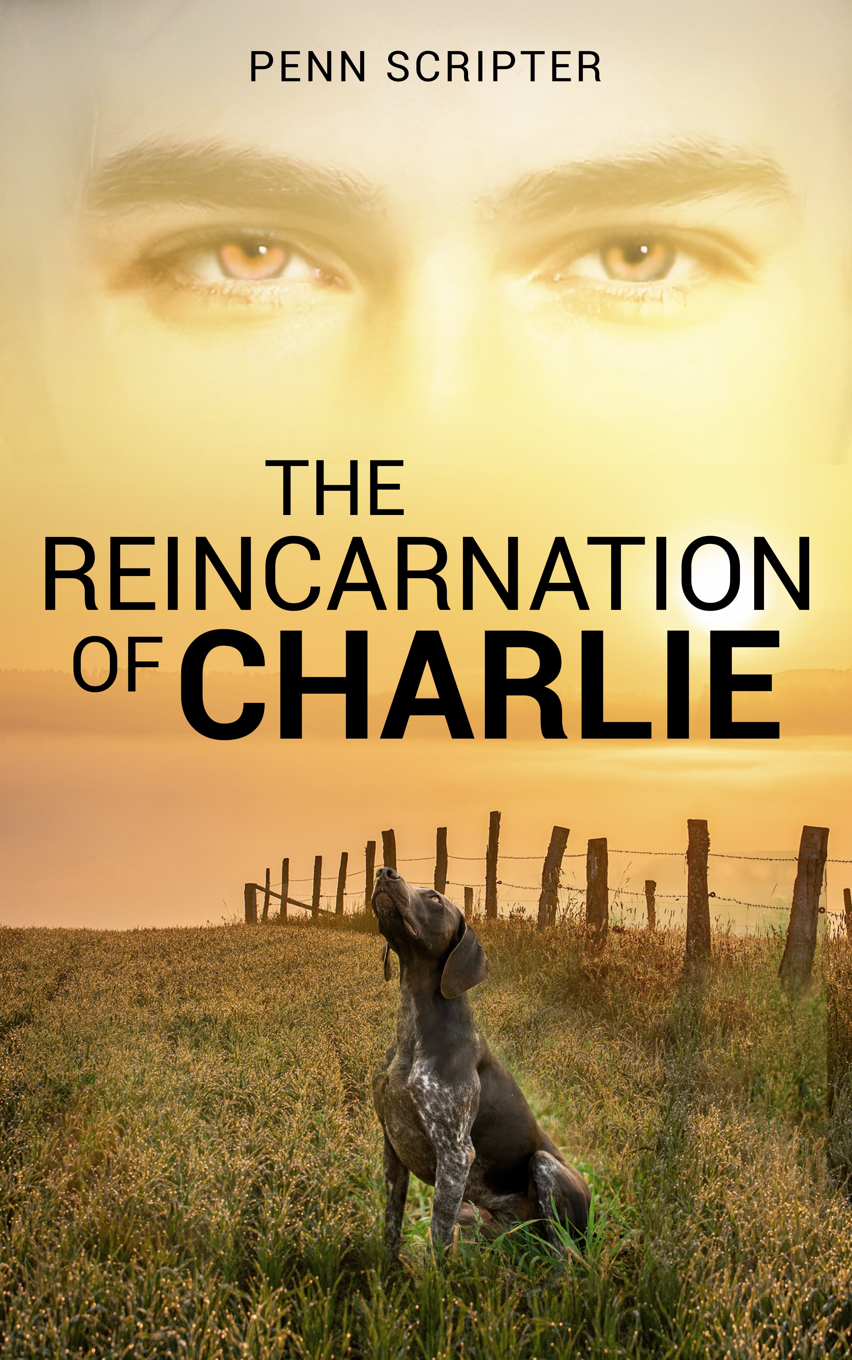 The Reincarnation of Charlie by Penn Scripter | Goodreads