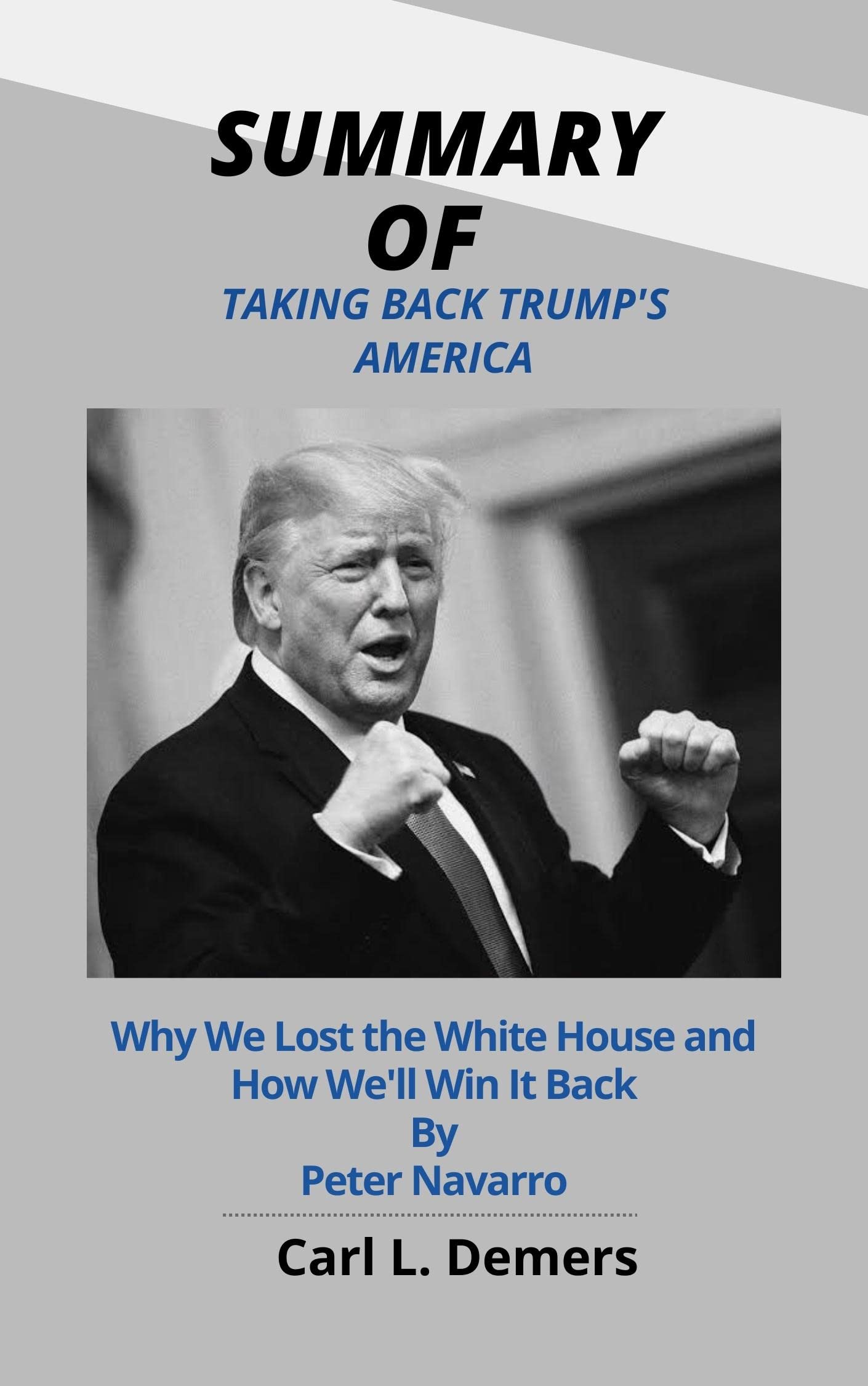 Summary of Taking Back Trump's America: Why We Lost the White House and ...
