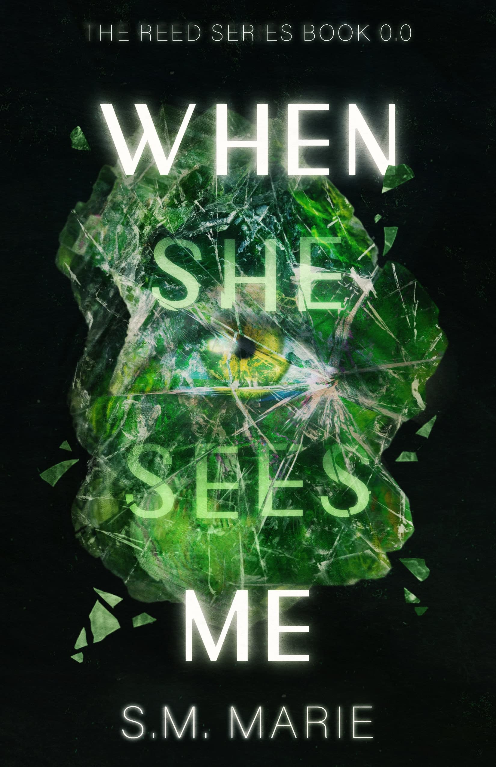 When She Sees Me by S.M. Marie | Goodreads