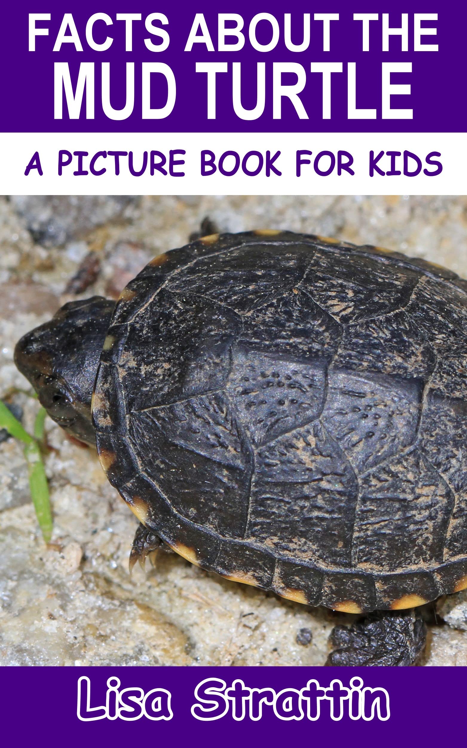 Facts About the Mud Turtle by Lisa Strattin | Goodreads