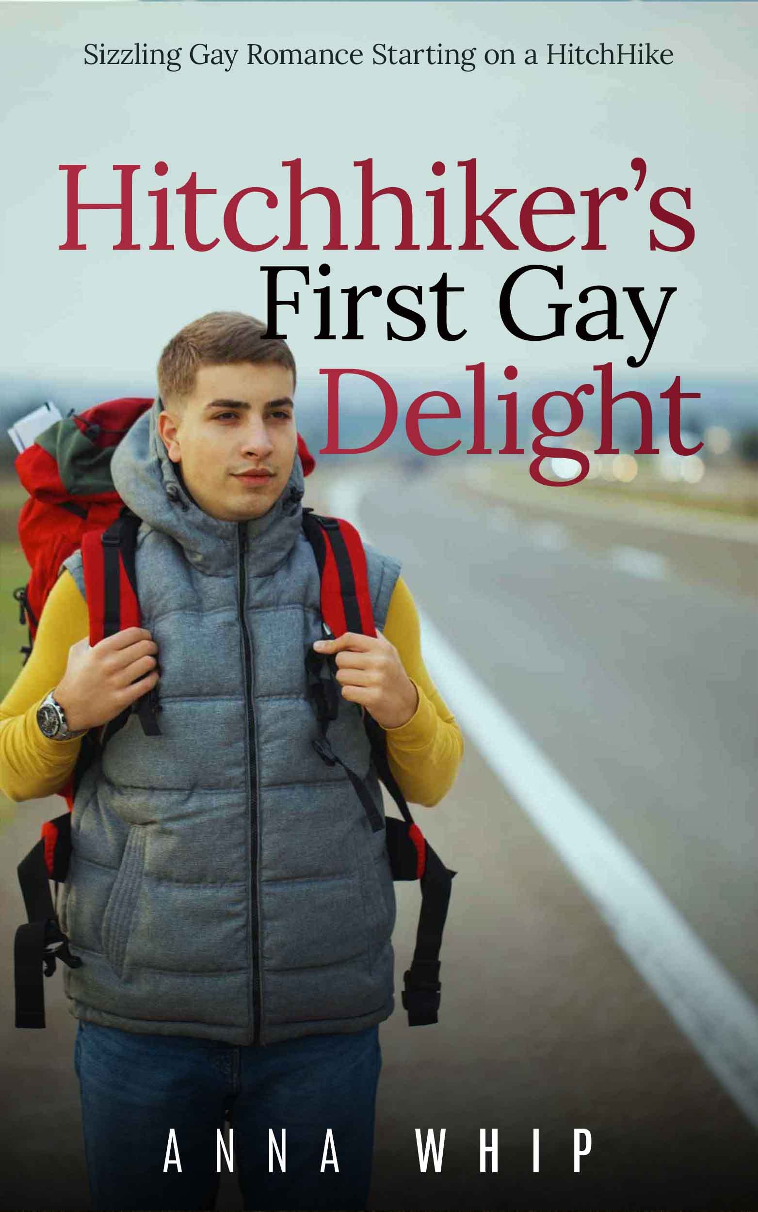 Hitchhiker's First Gay Delight: A first time MM romance, reverse harem, mmm, bdsm, blindfolds ...