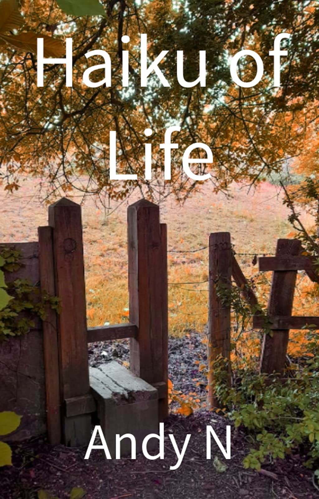 Haiku of life by Andy N | Goodreads