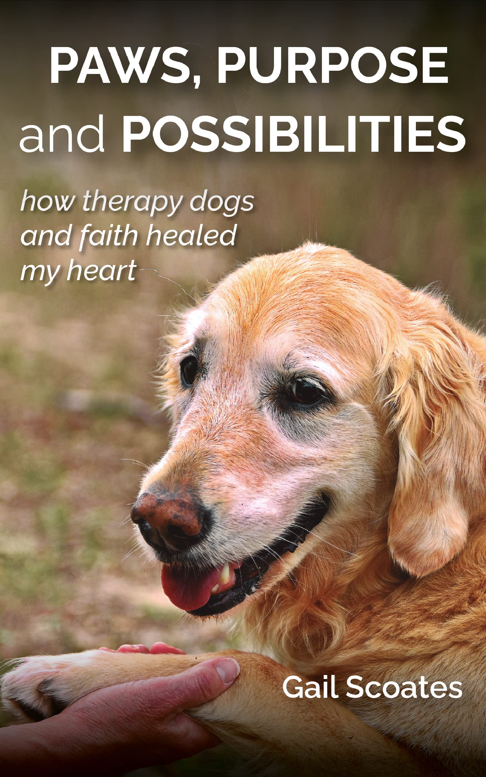 Paws, Purpose and Possibilities: How therapy dogs and faith healed my ...