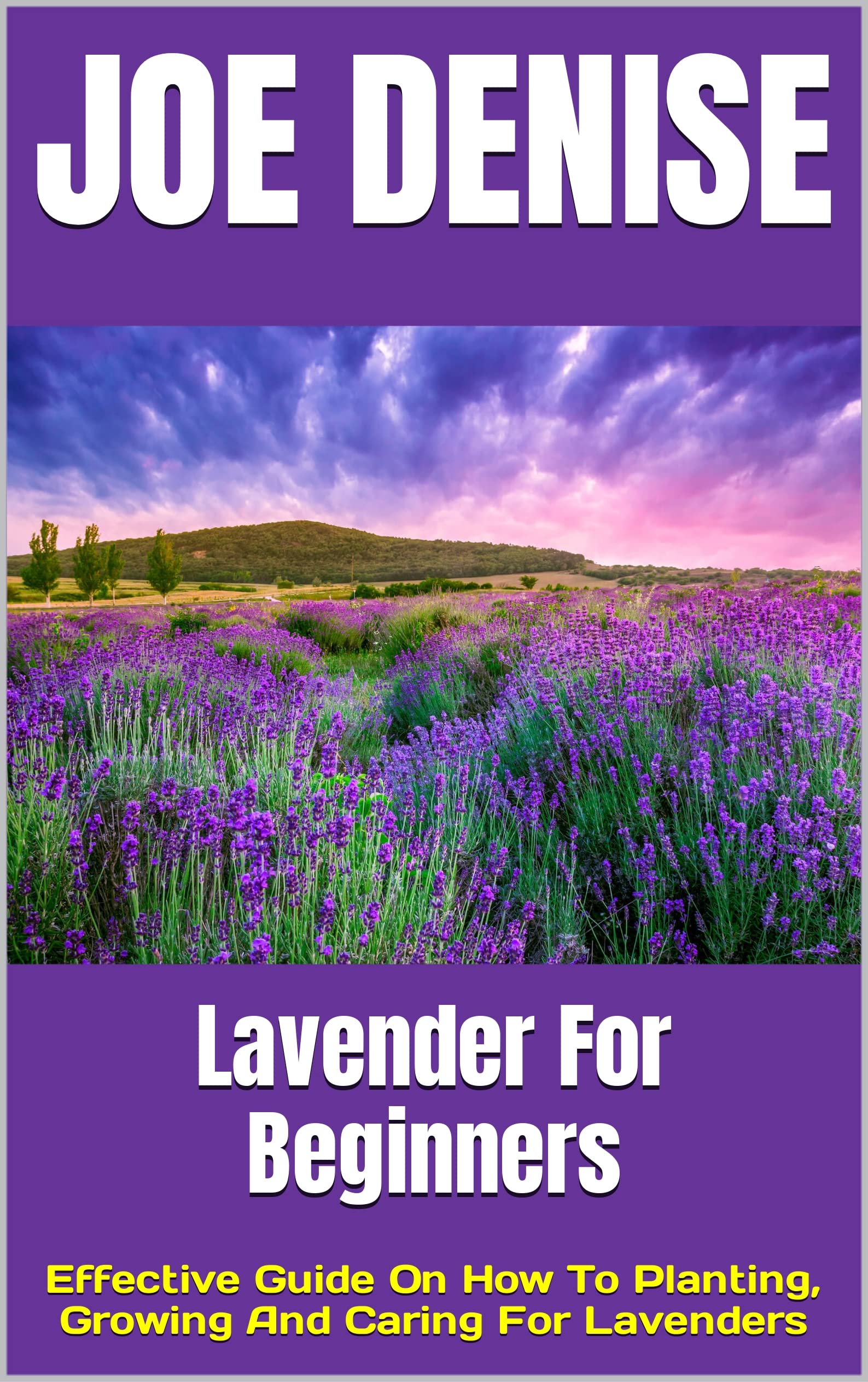 Lavender For Beginners : Effective Guide On How To Planting, Growing ...