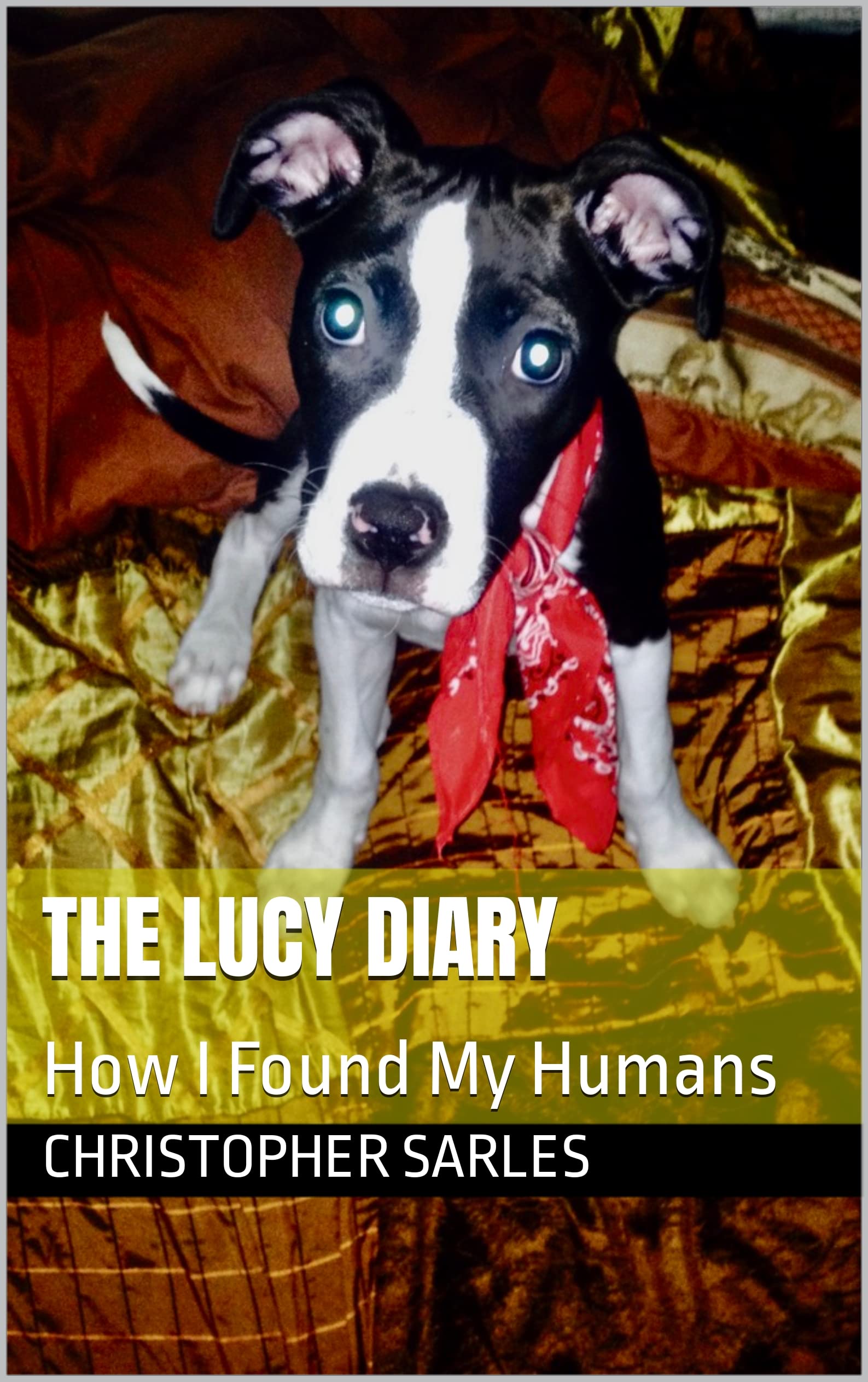 The LUCY DIARY: How I Found My Humans by Christopher Sarles | Goodreads