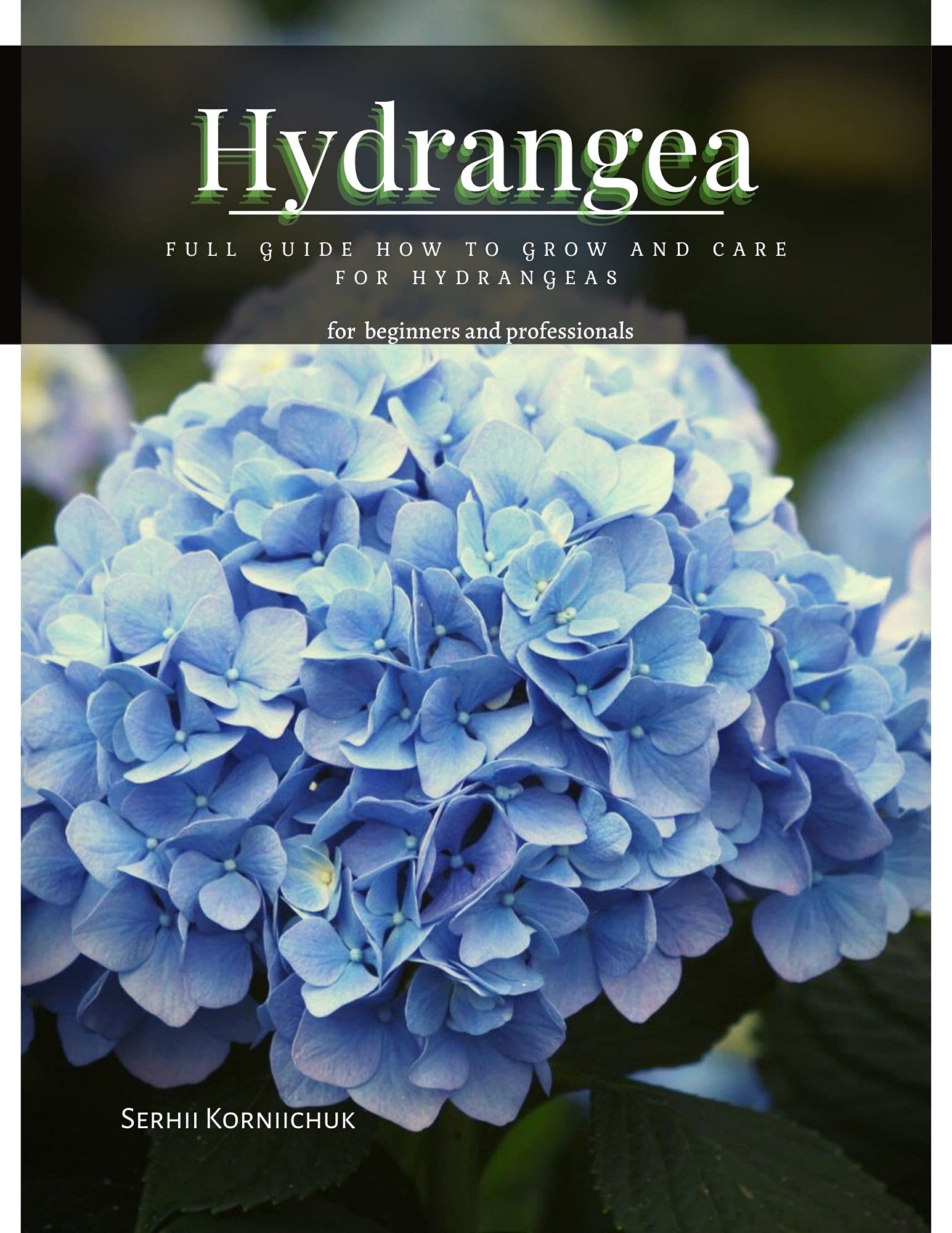 Hydrangea: Full Guide How tо Grow аnd Care for Hydrangeas by Serhii ...
