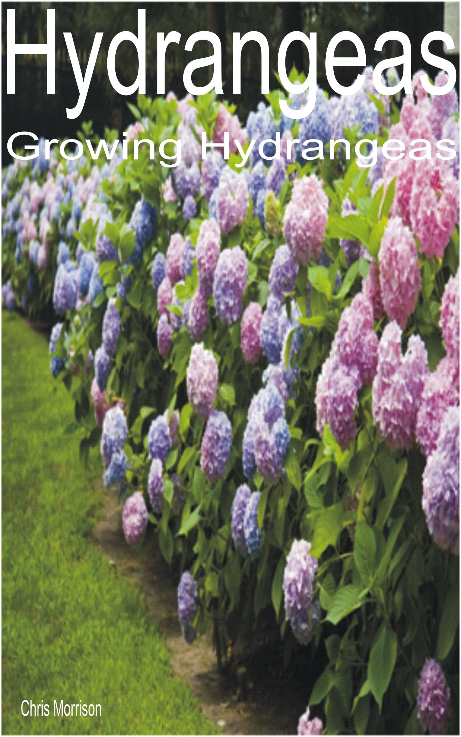 Hydrangeas: Growing Hydrangeas by Chris Morrison | Goodreads